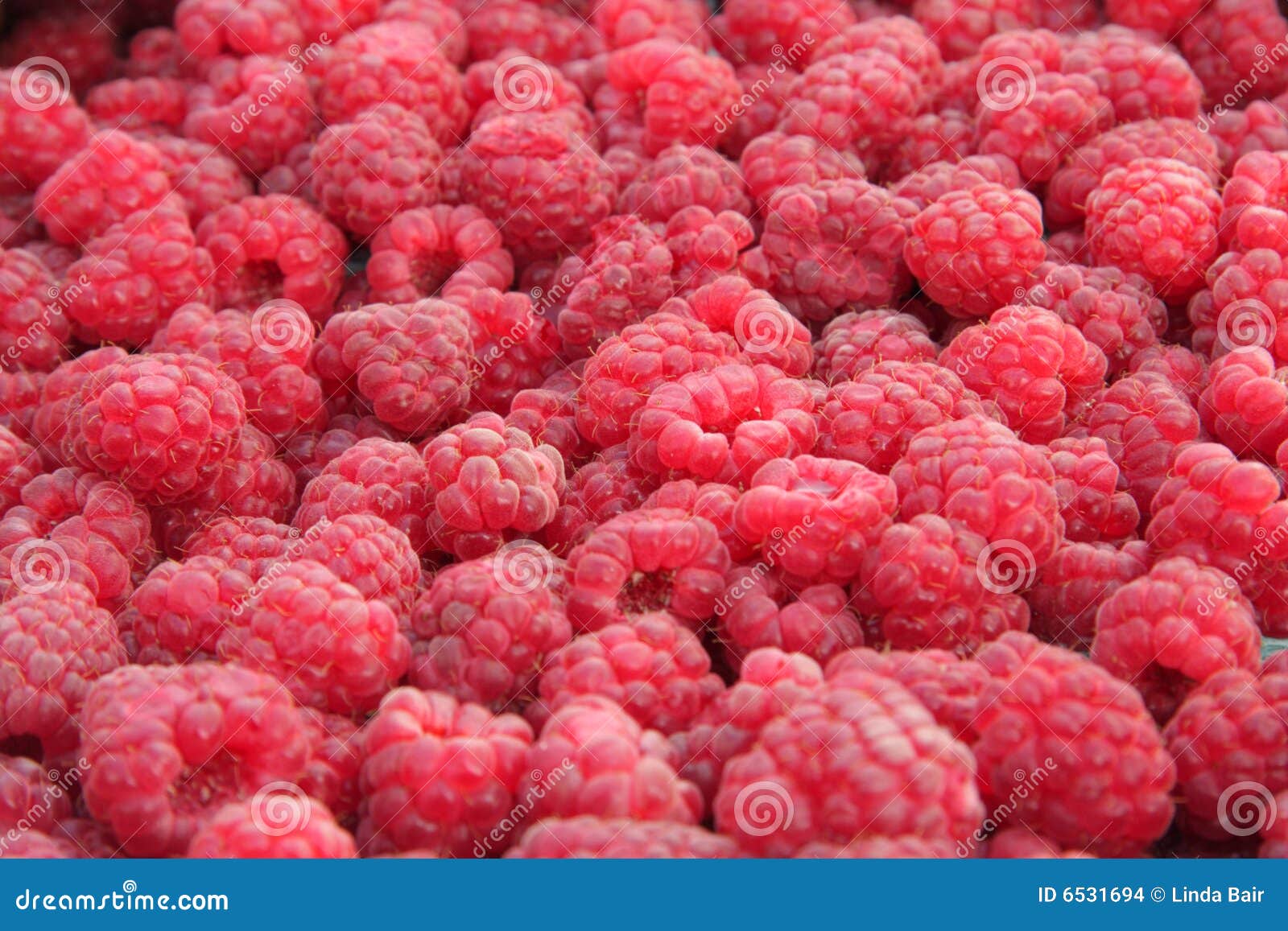Close-up of raspberries stock photo. Image of healthy - 6531694