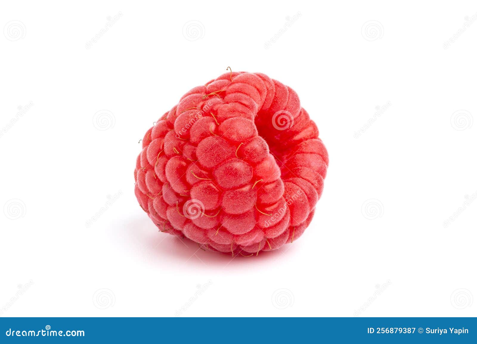 Close Up Raspberry Isolated on White Background Stock Image - Image of ...