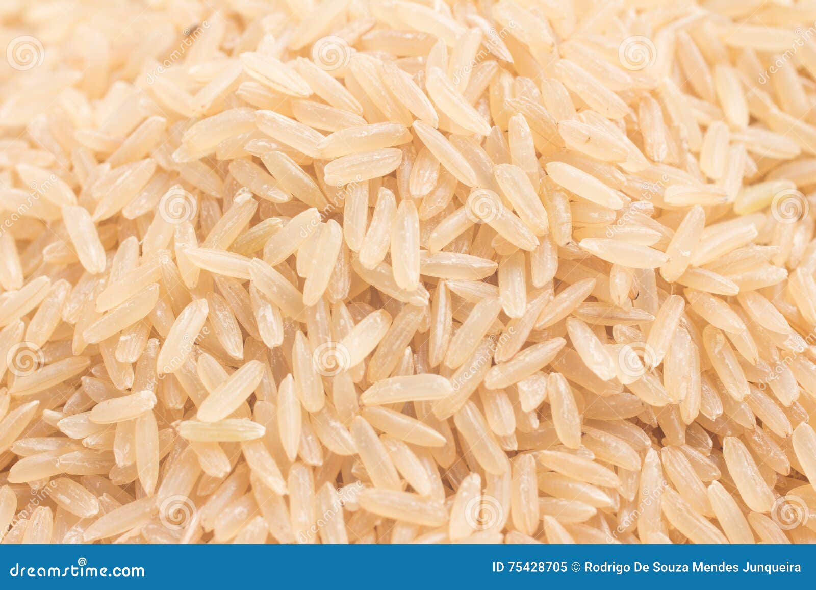 Close-up on a Raw Brown Rice Stock Image - Image of harvest, brown ...