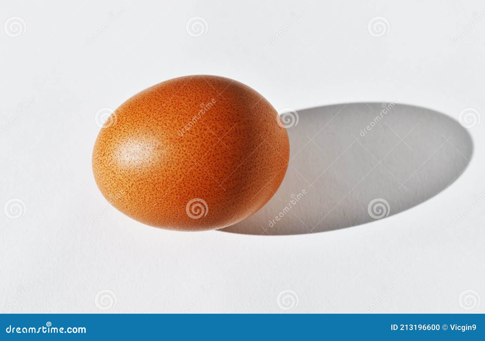 Close up of raw egg stock photo. Image of animal, foodstuff - 213196600