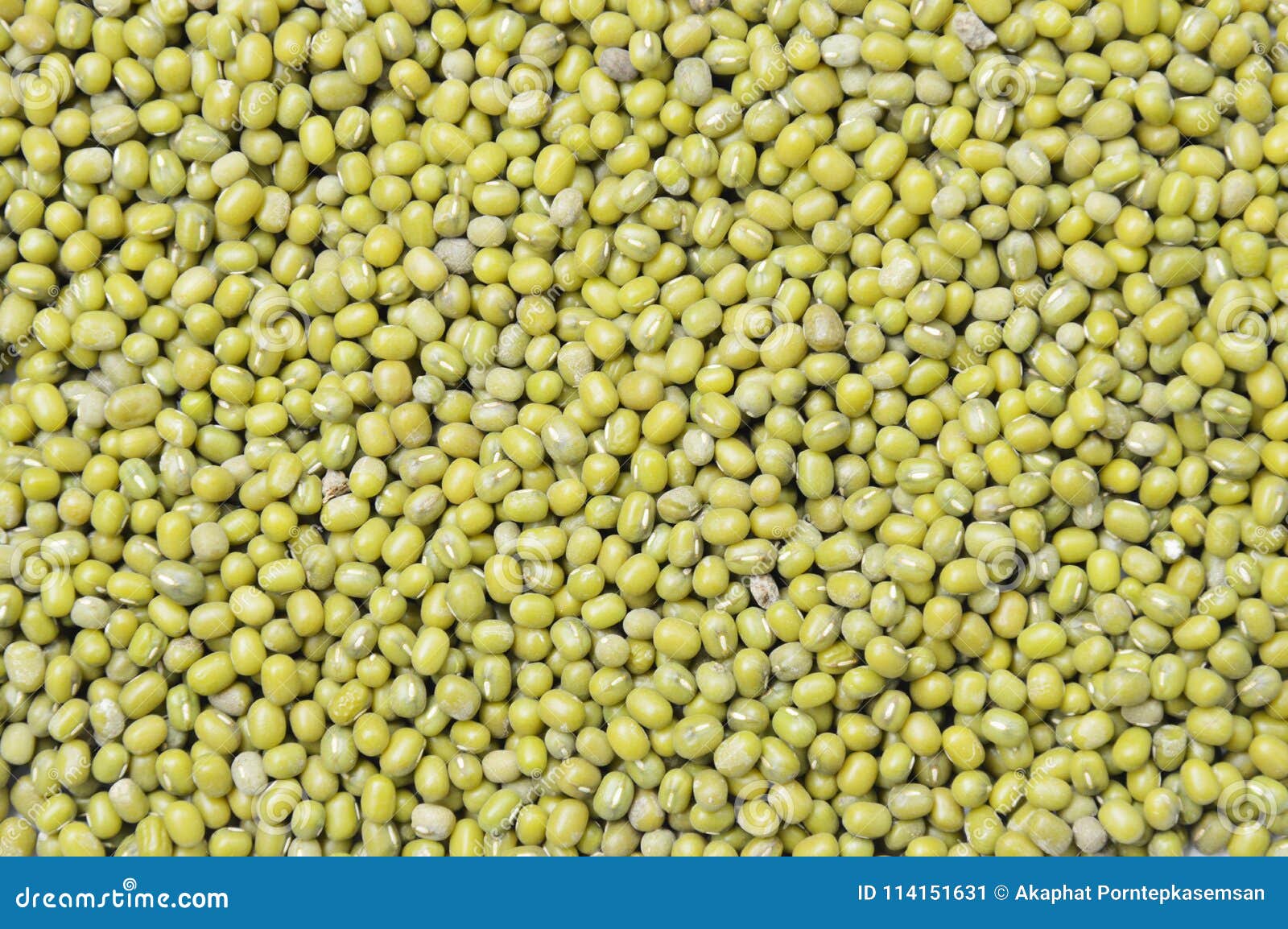 Raw Green Bean Texture and Background Stock Image - Image of farming ...