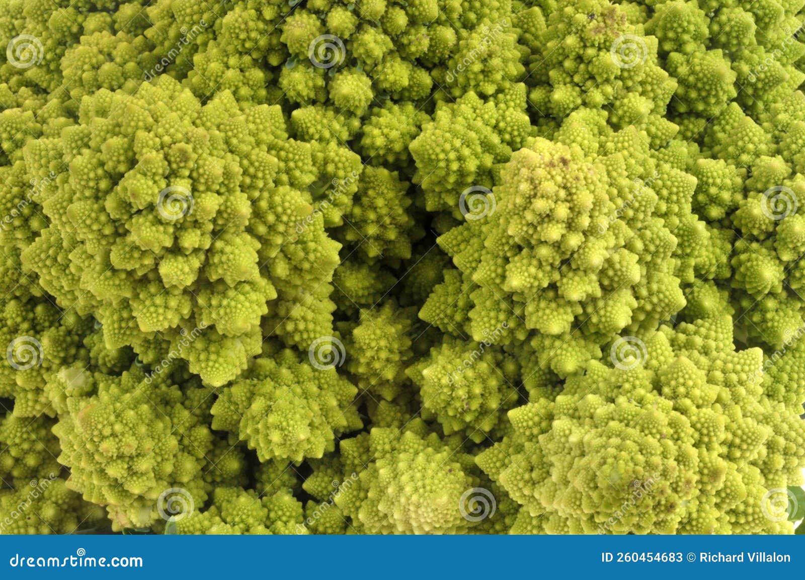 Close Up Raw Romanesco Cabbage Stock Image - Image of close, healthy ...