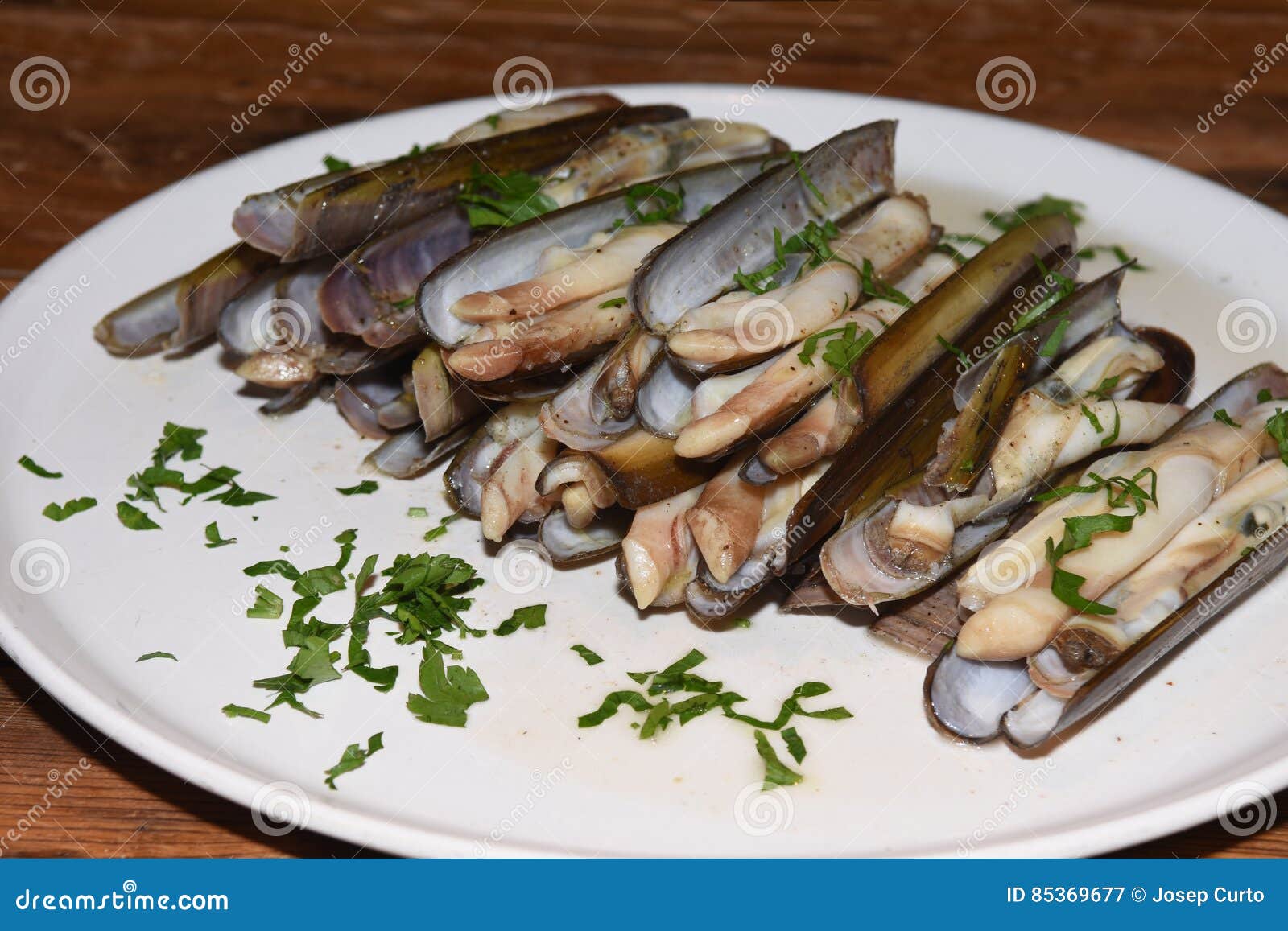 Close up of Razor shell stock image. Image of razor, texture - 85369677