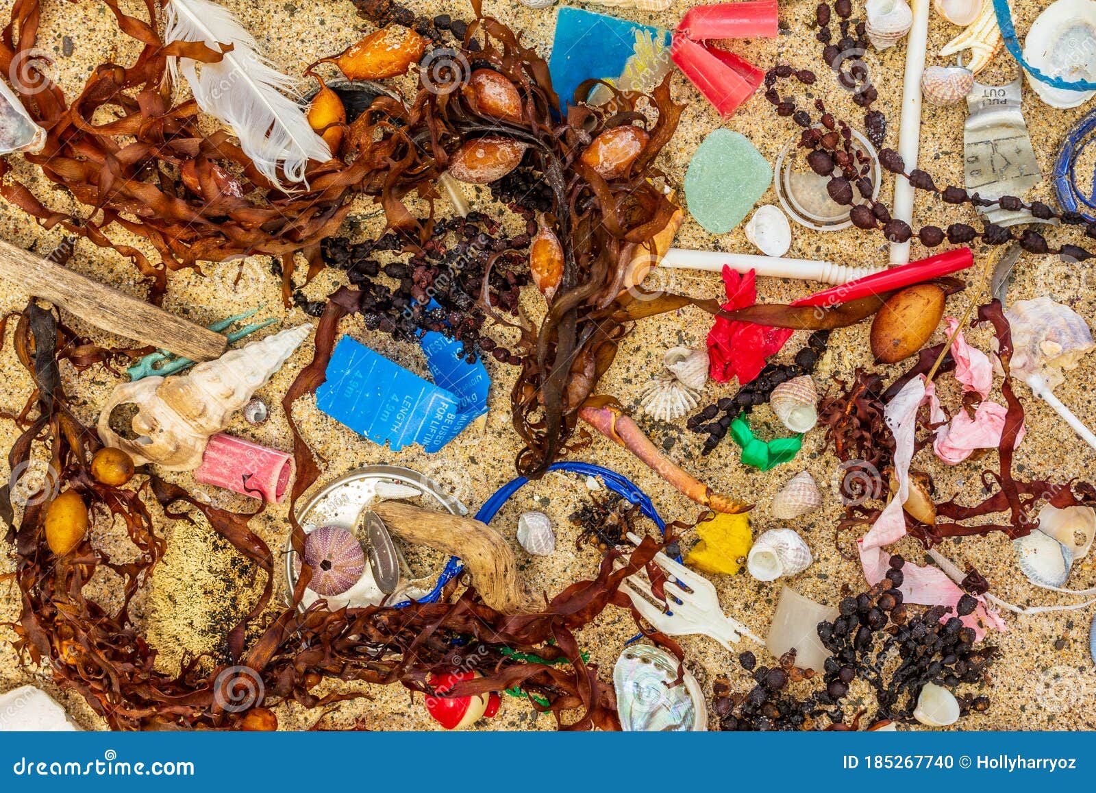 Real Plastic Pollution Washed Up on Beach Mixed with Seaweed Shells and ...