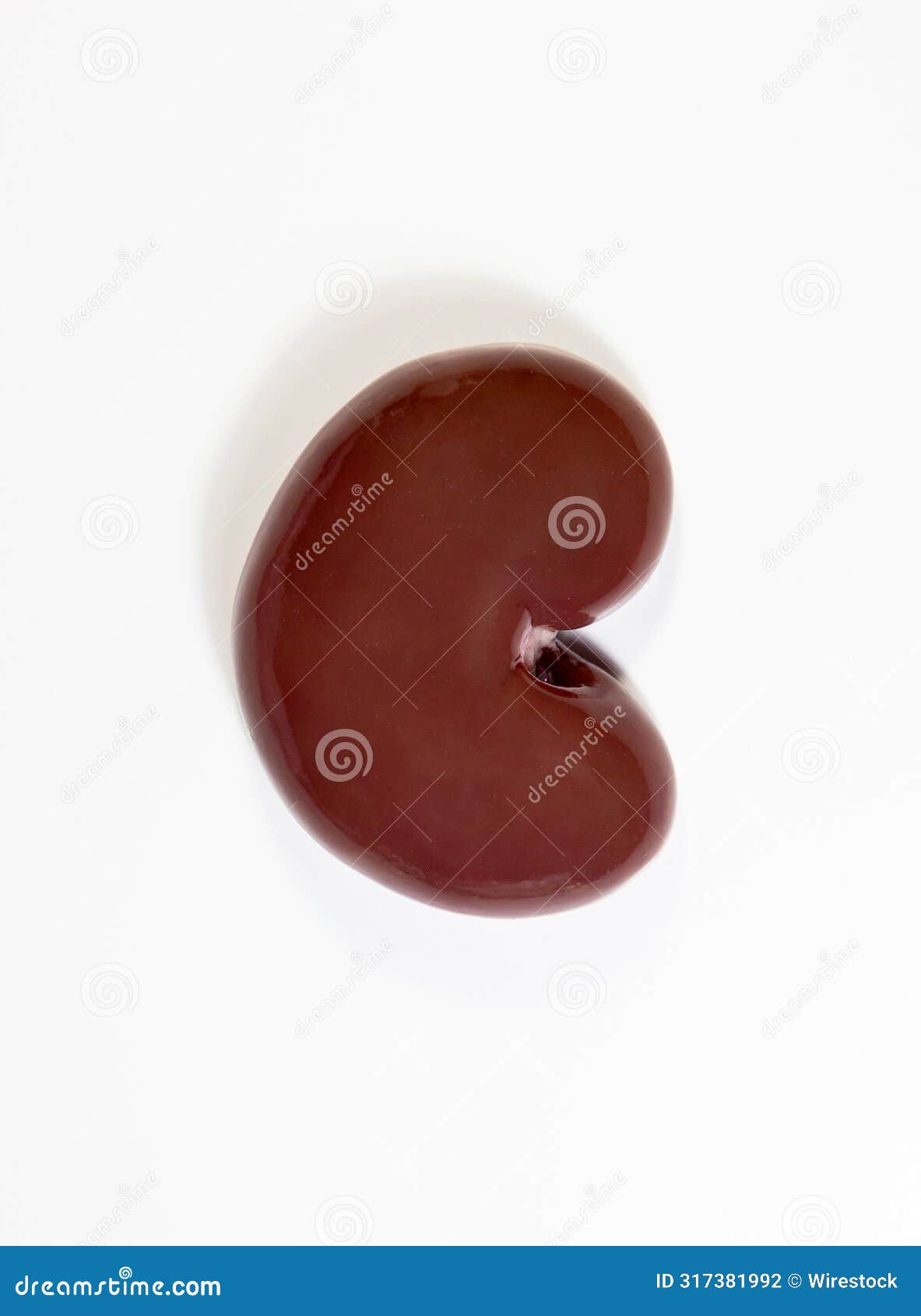 Close-up of a Real Raw Kidney on a White Background Stock Photo - Image ...