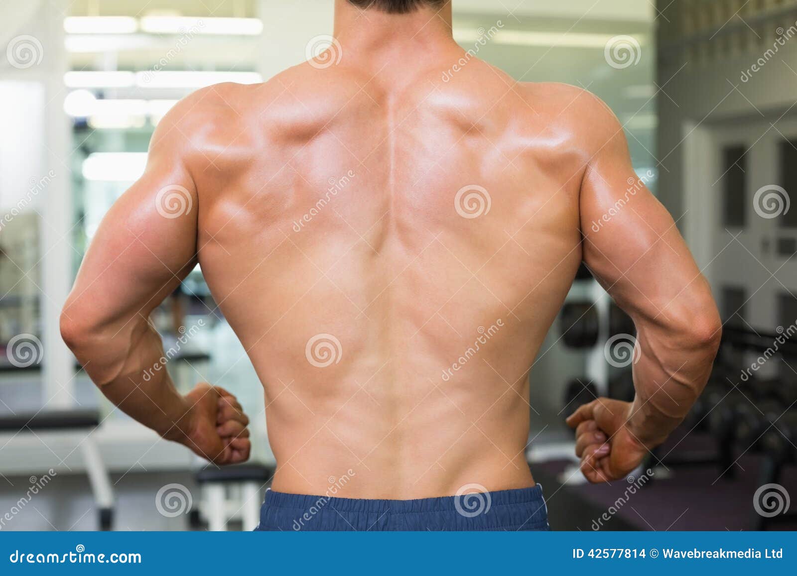 Close-up Rear View of a Bodybuilder in Gym Stock Photo - Image of male ...