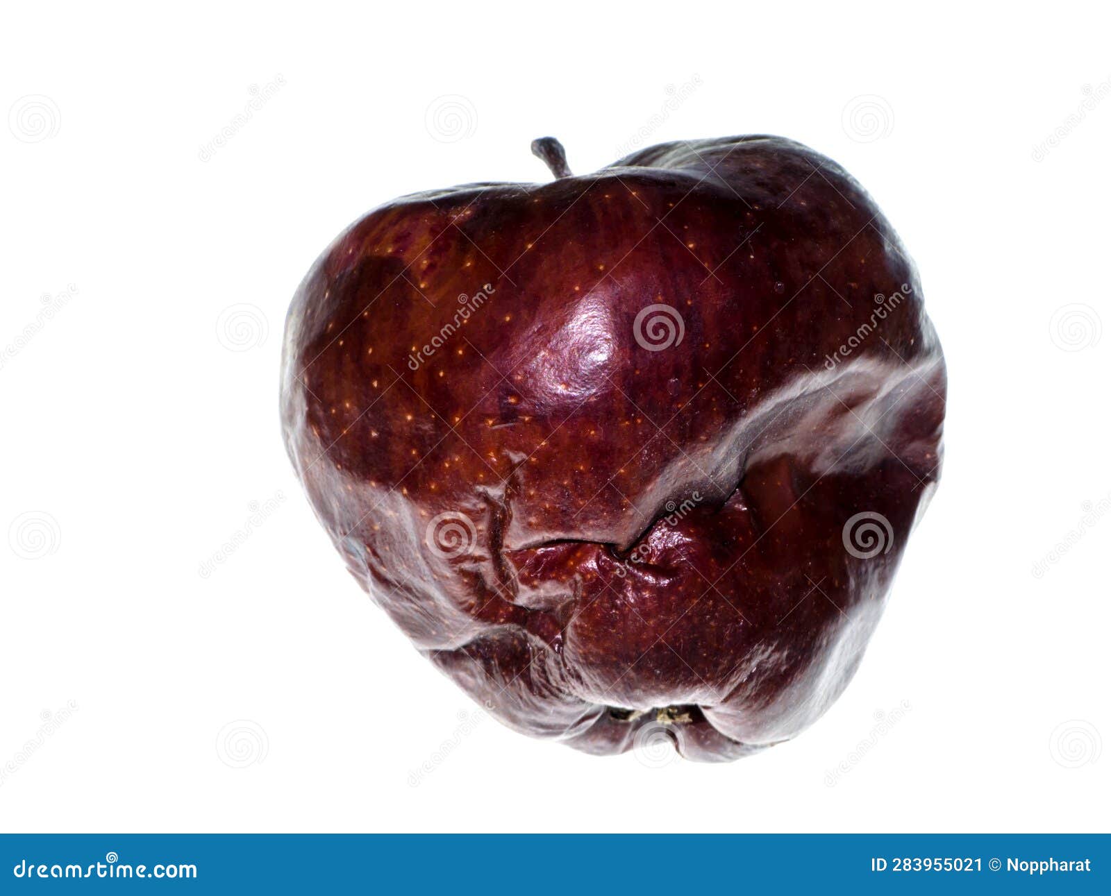 Close Up a Red Apple are Withered Stock Image - Image of nature, object ...