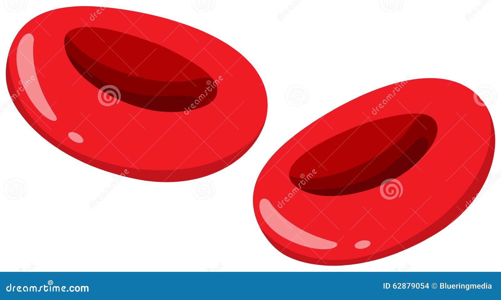 Close up red blood cells stock vector. Illustration of hematopoietic ...