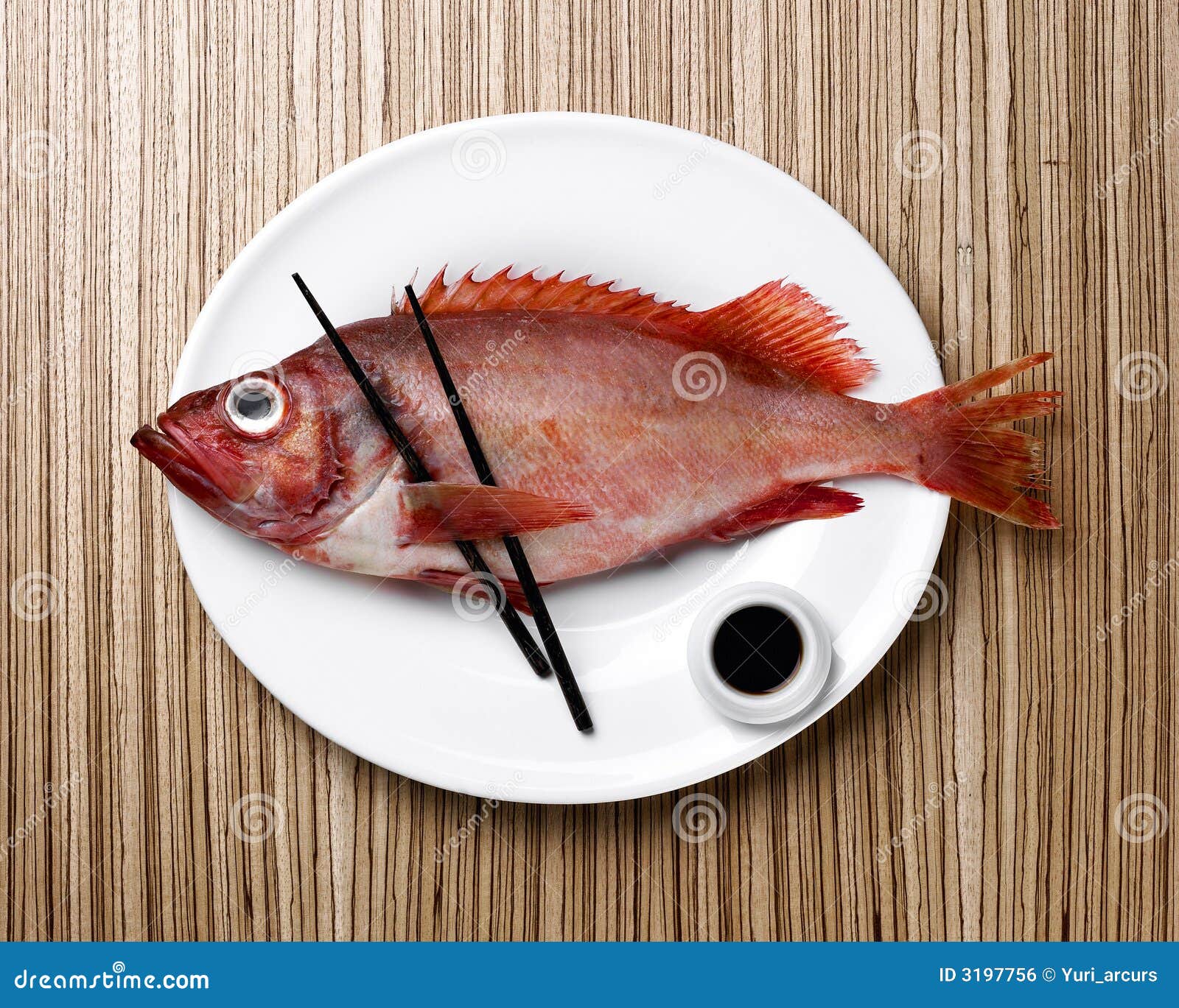 Close-up of Red Fish on Plate Stock Photo - Image of dish, living: 3197756
