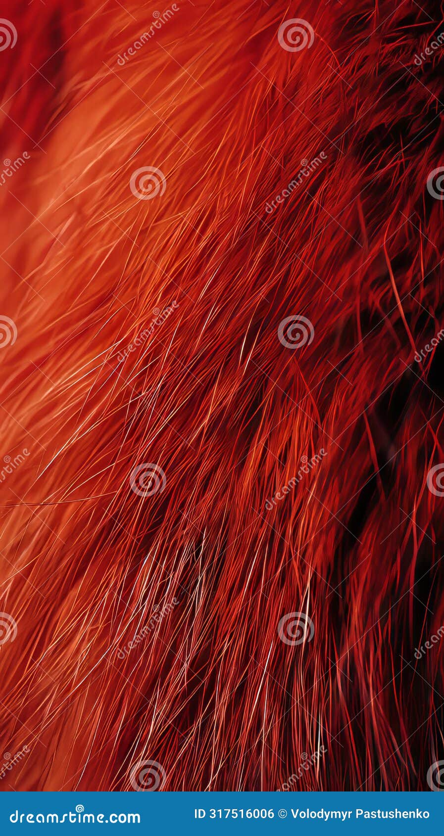A Close Up of a Red Furry Animal Stock Photo - Image of furry, orange ...