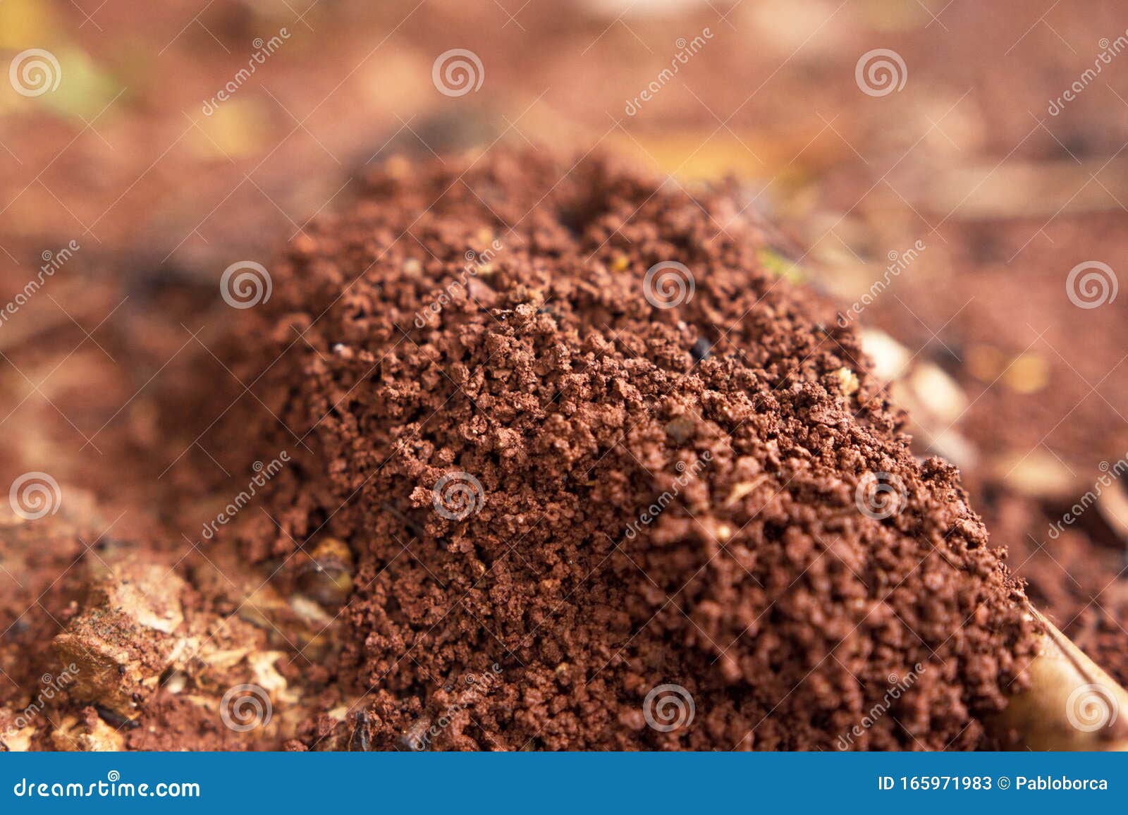 Close Up of a Red Ground Anthill Stock Image - Image of macro, soil ...