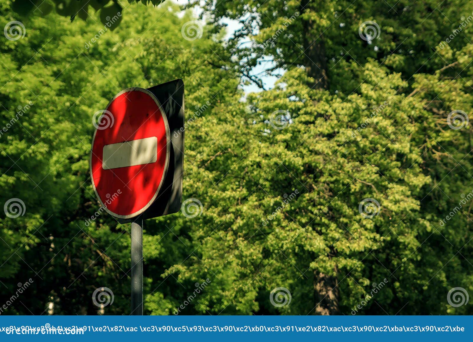 Close-up Red Hexagonal Stop Sign on Metal Pole with Green Leaves ...