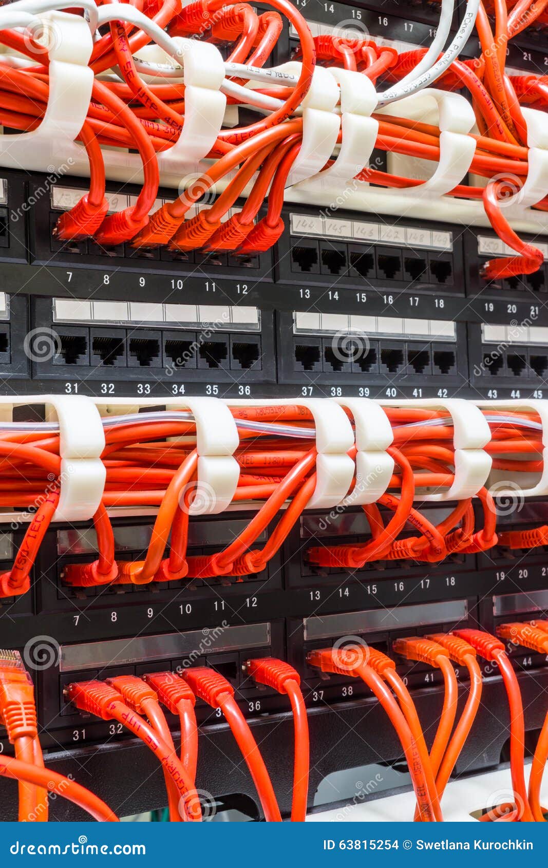 Close Up of Red Network Cables Connected To Switch Stock Photo - Image ...