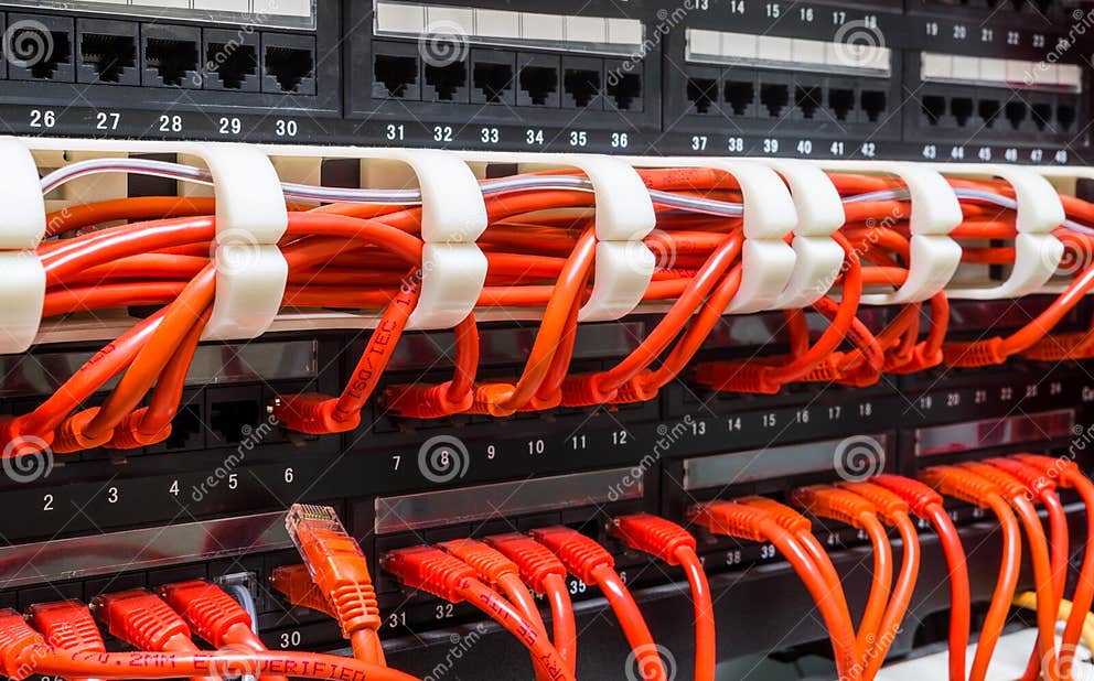 Close Up of Red Network Cables Connected To Switch Stock Photo - Image ...