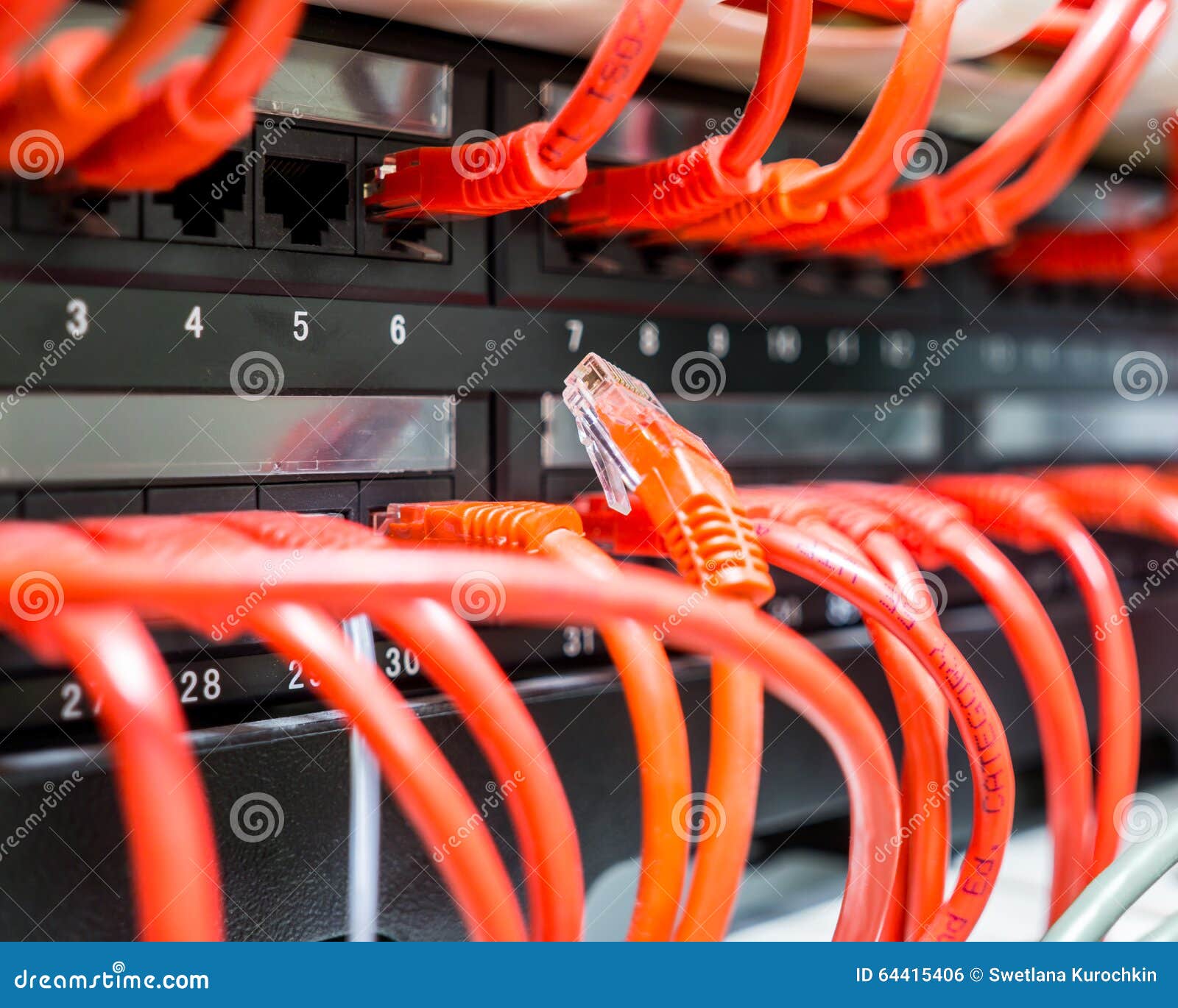 Close Up of Red Network Cables Connected To Switch Stock Photo - Image ...
