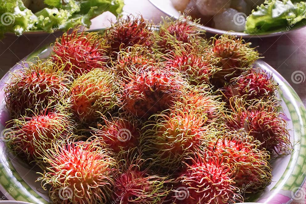 Red rambutan fruit stock photo. Image of fresh, tropical - 99333558