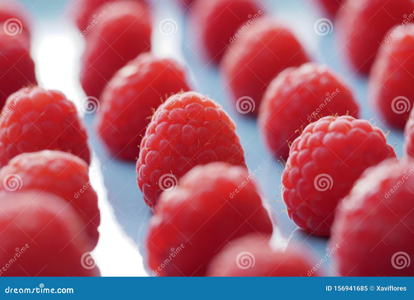 Close Up of Red Raspsberry in a Blue Plate Stock Image - Image of ...