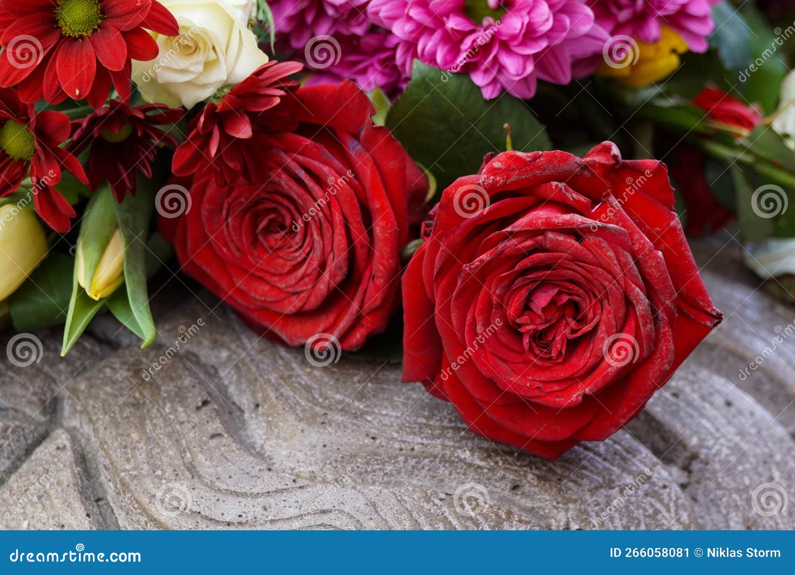 Close Up of Red Roses on Stone Structure Stock Image - Image of leaf ...