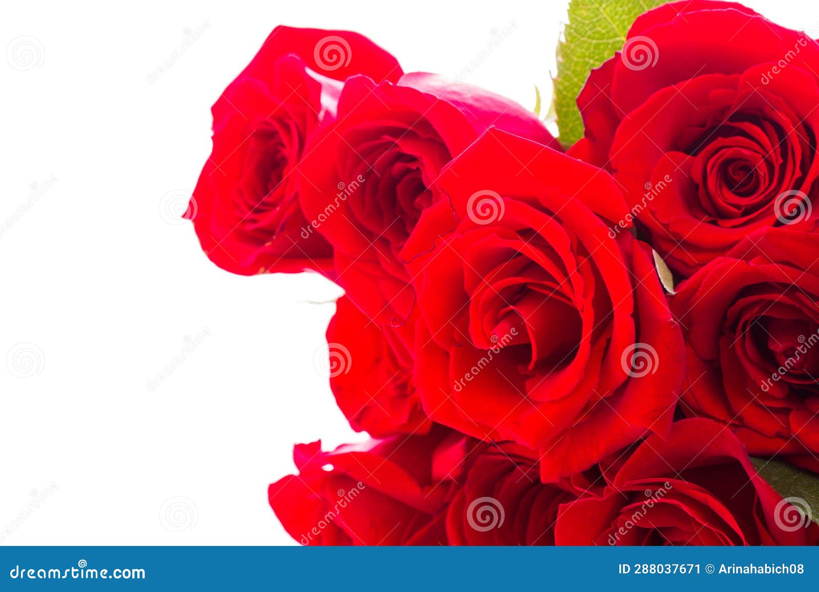 Red roses stock image. Image of floral, bouquet, flower - 288037671