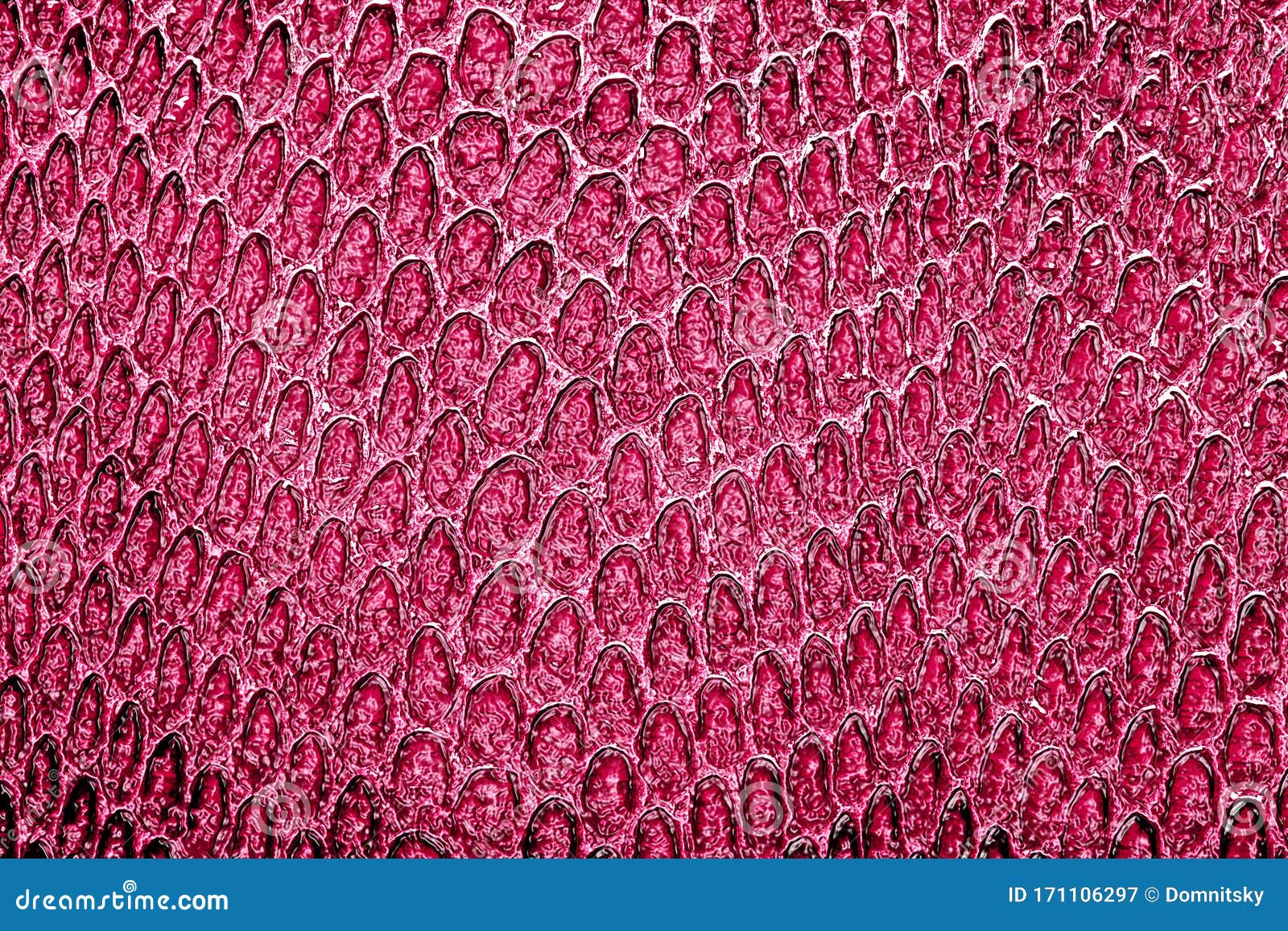 Close-up of Red Snake Skin Background Stock Image - Image of pattern ...