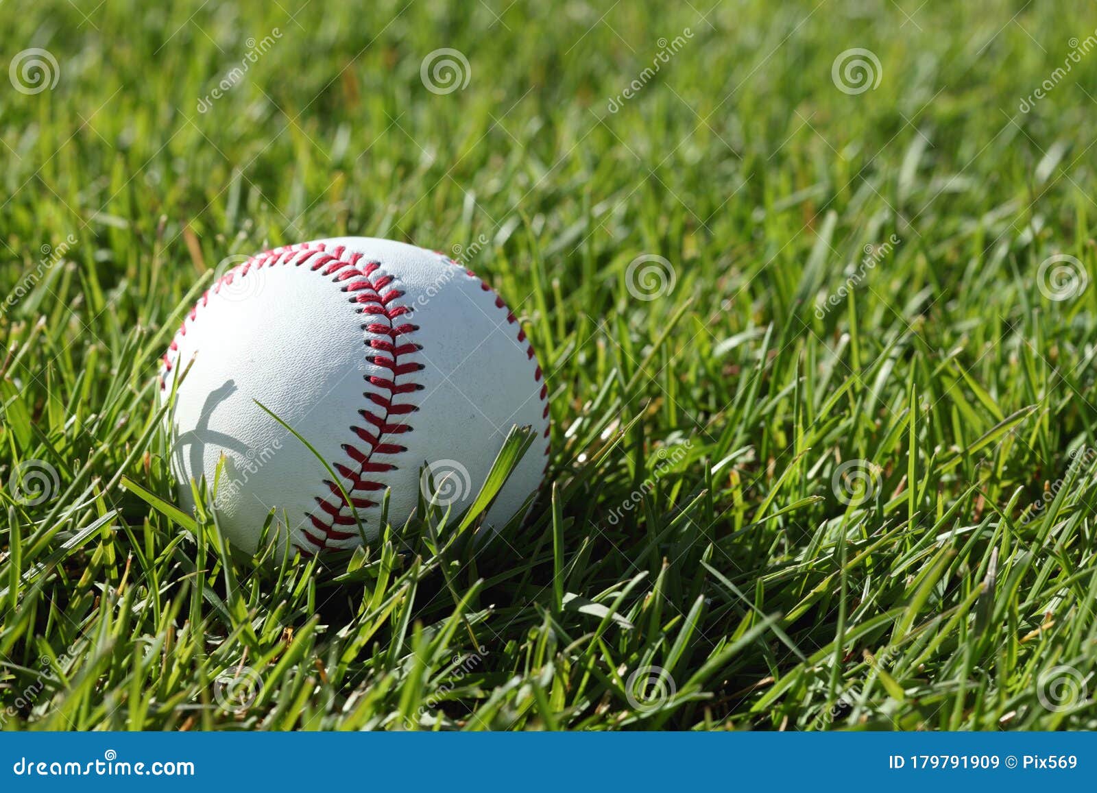 A New White Baseball Laying in the Grass. Stock Image - Image of game ...
