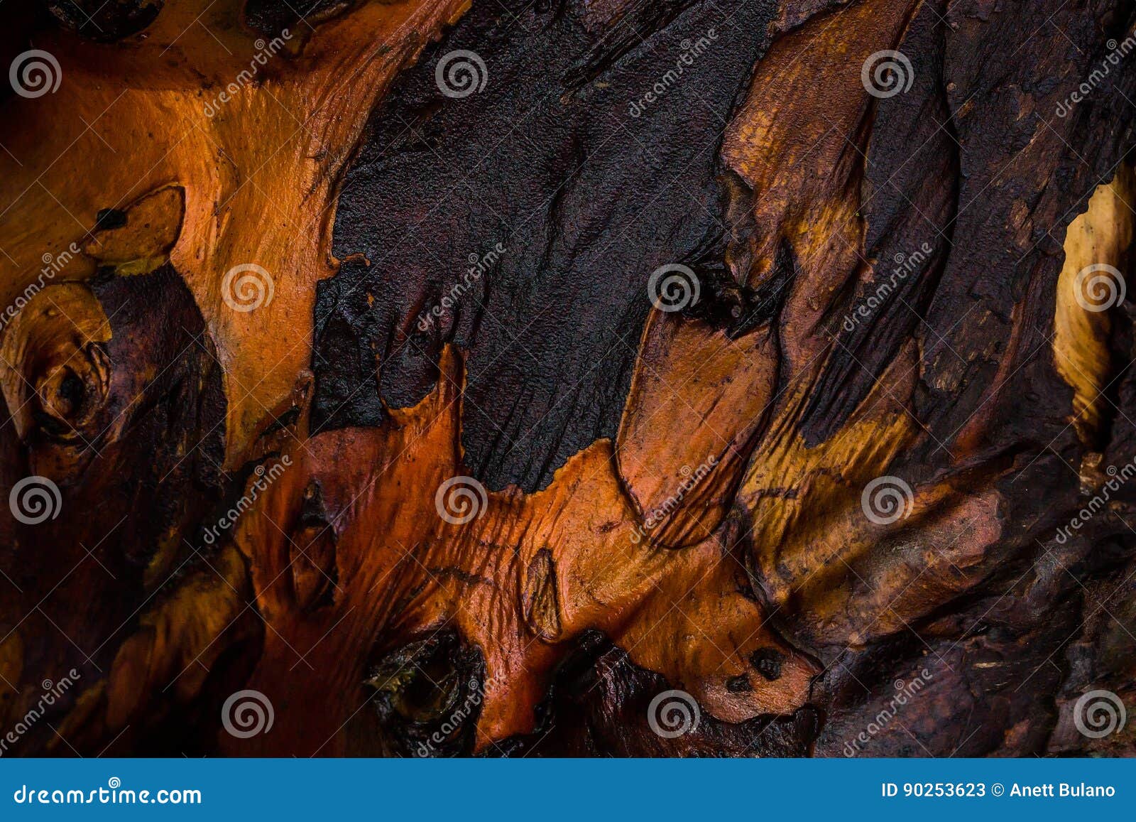 Close up on red tree bark stock image. Image of lumber - 90253623