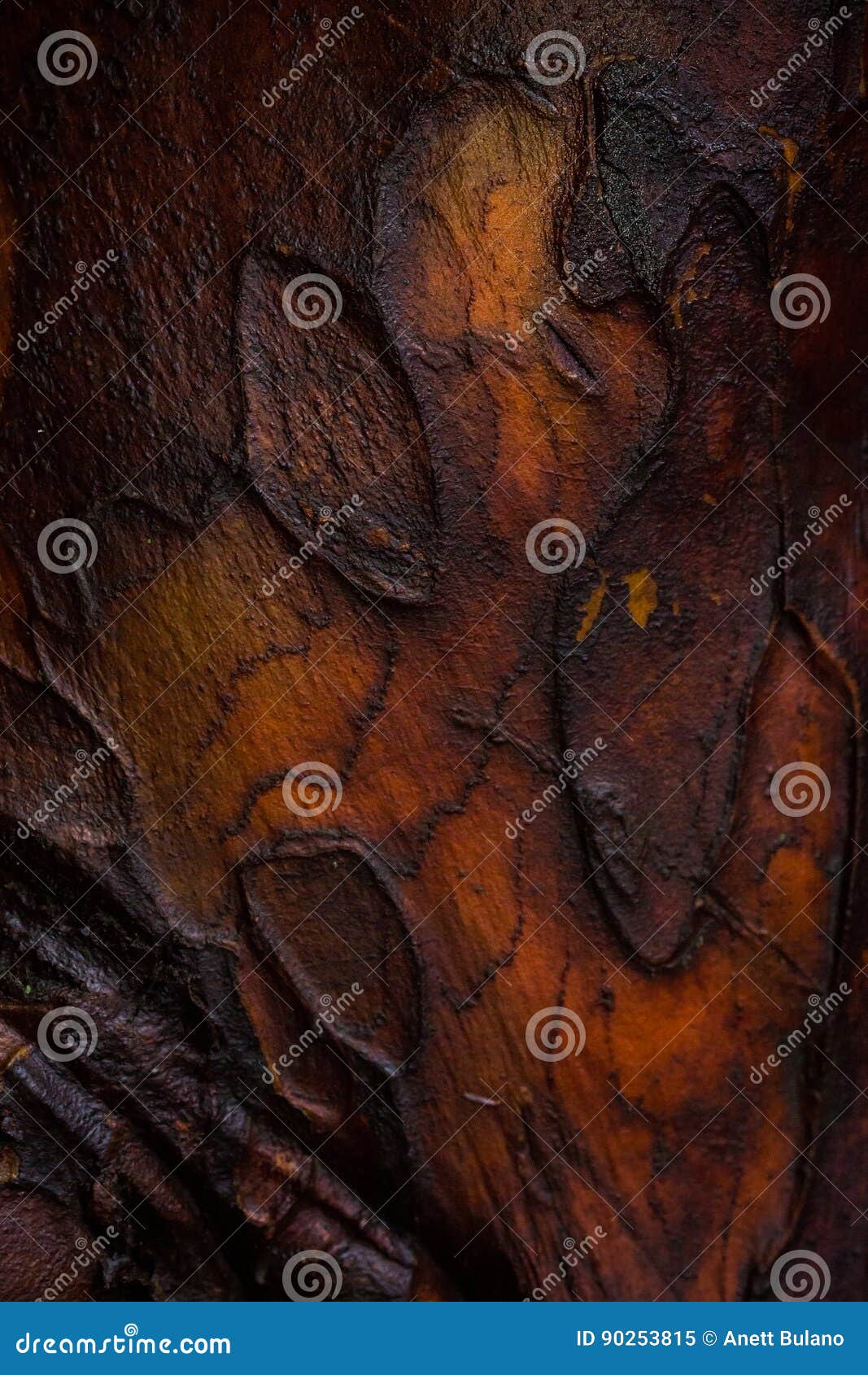 Close up on red tree bark stock image. Image of material - 90253815