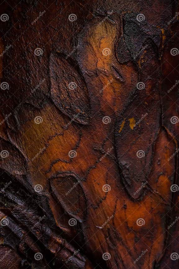 Close up on red tree bark stock image. Image of material - 90253815