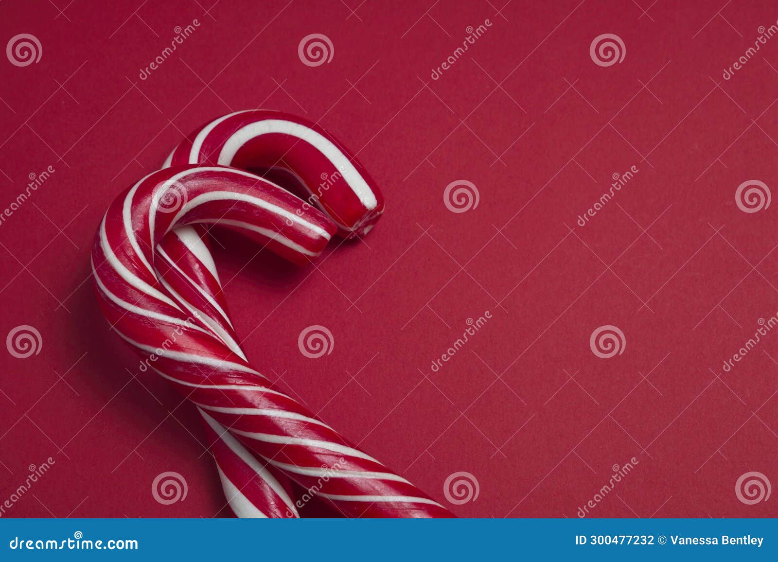 Close-up of Red and White Candy Canes on a Red Surface with Space for ...