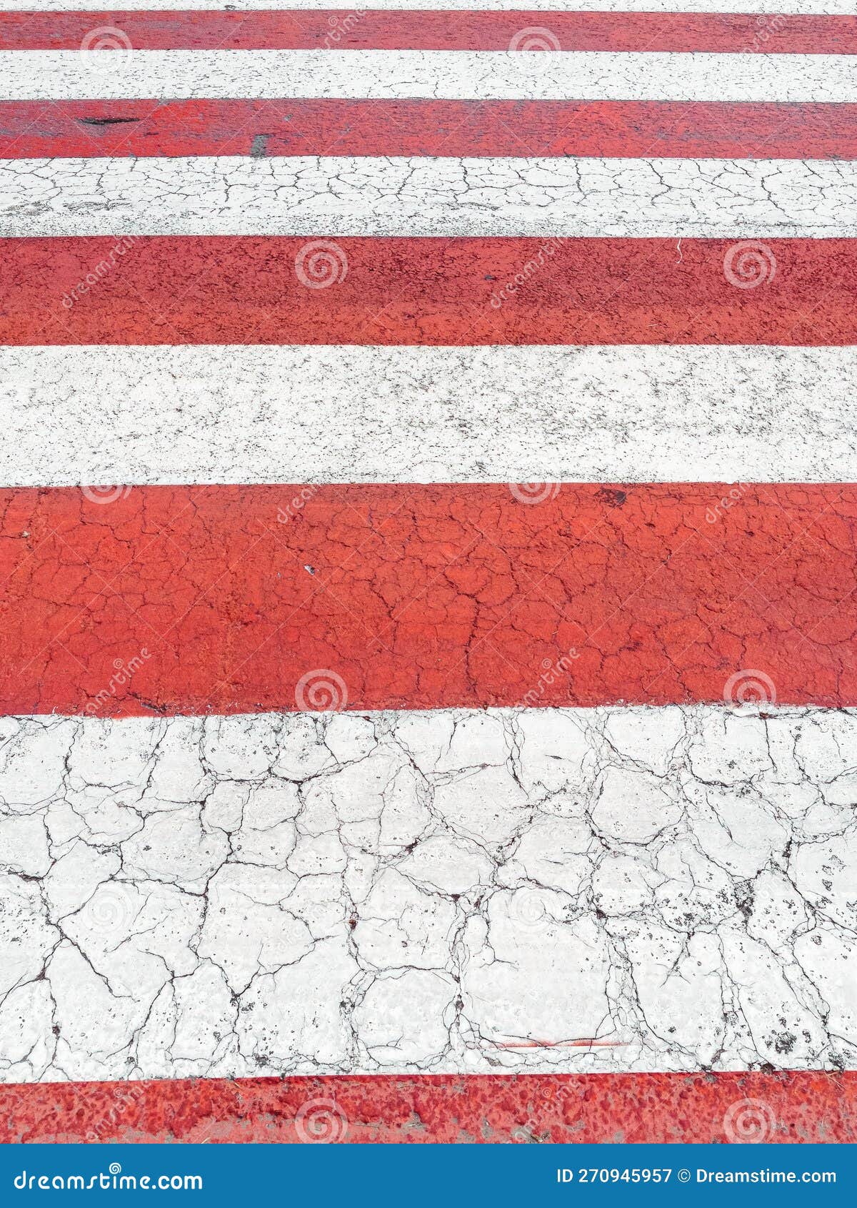 Close-up of a Red and White Crosswalk. Stock Image - Image of person ...