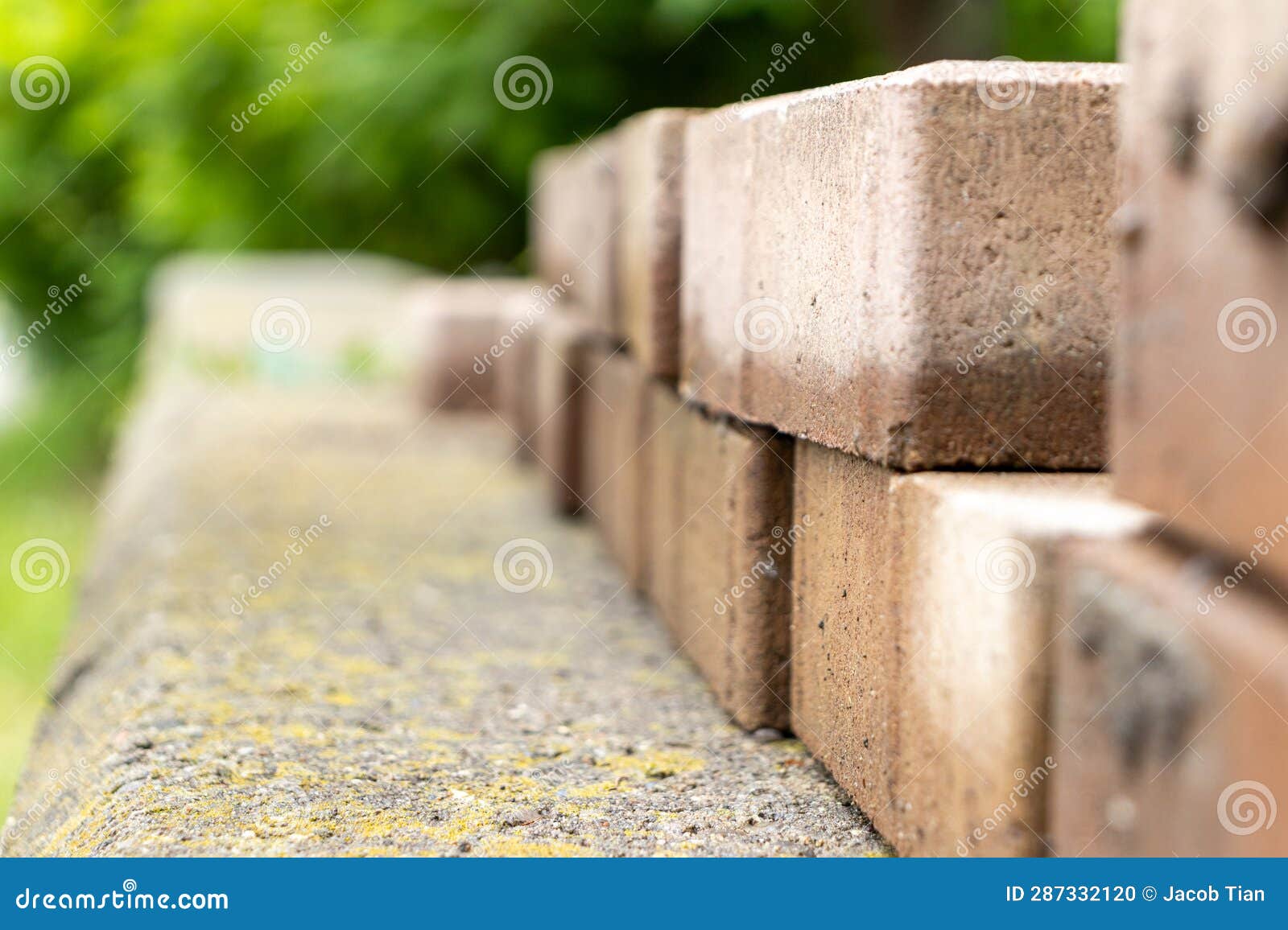 Close Up of Reddish-brown Bricks on Light Gray Concrete Wall with Moss ...