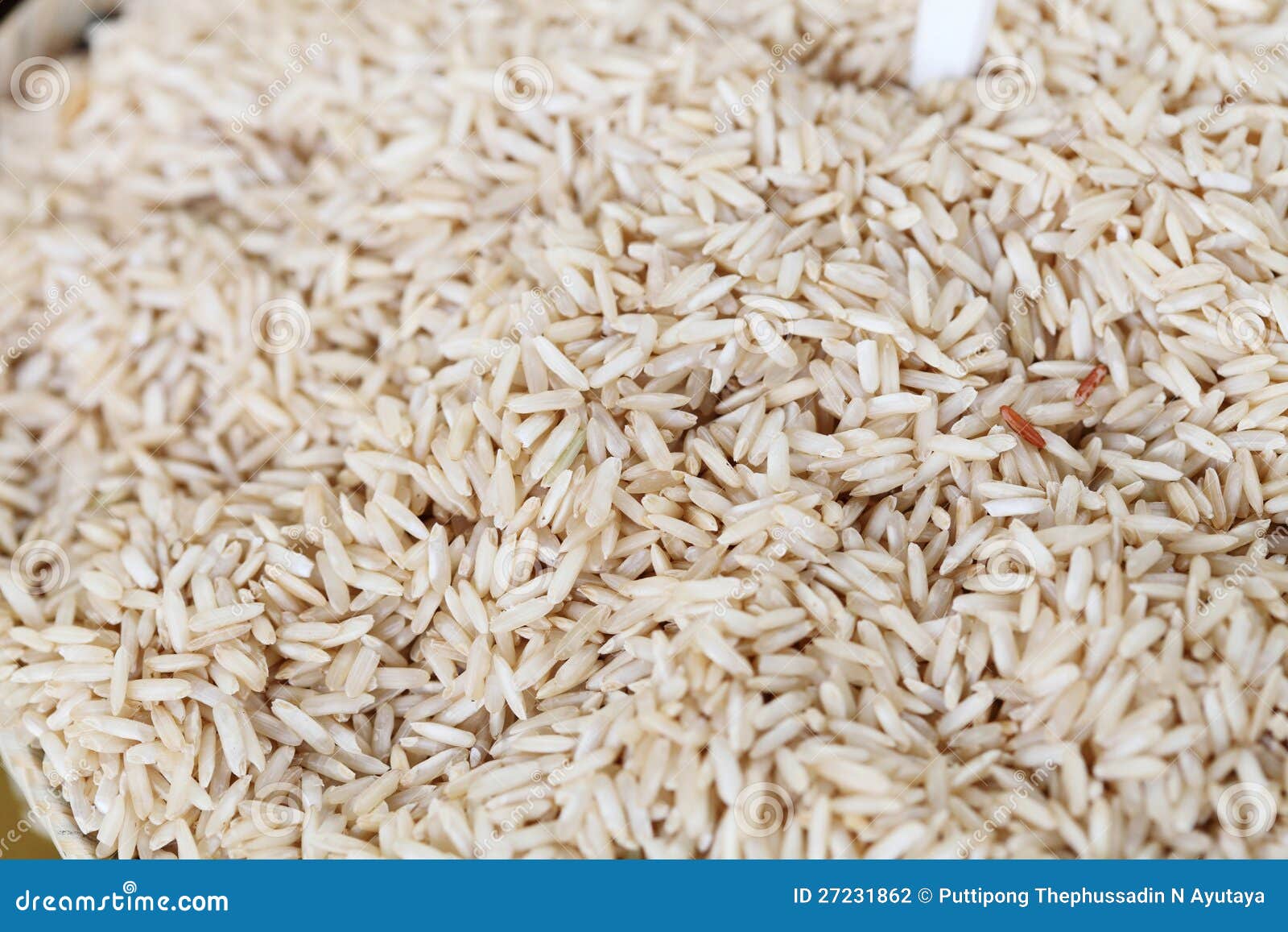 Close up on rice stock photo. Image of pile, meal, east - 27231862