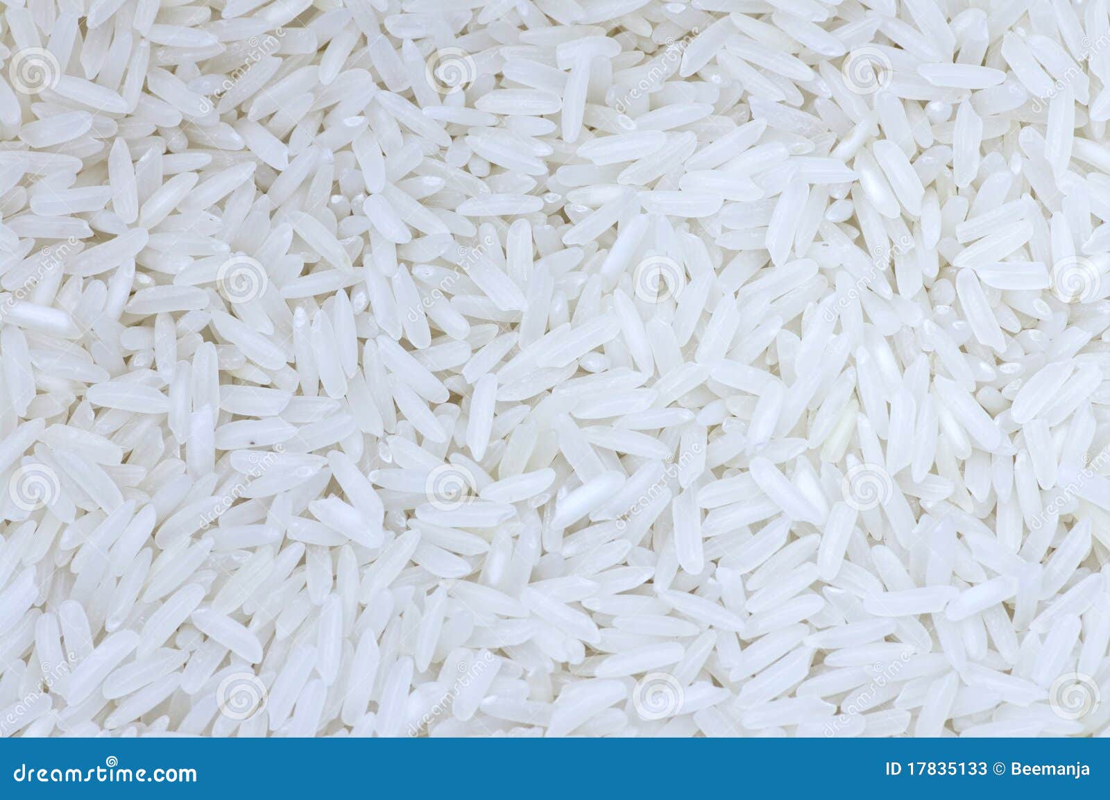Close up of rice grain stock image. Image of dietary - 17835133