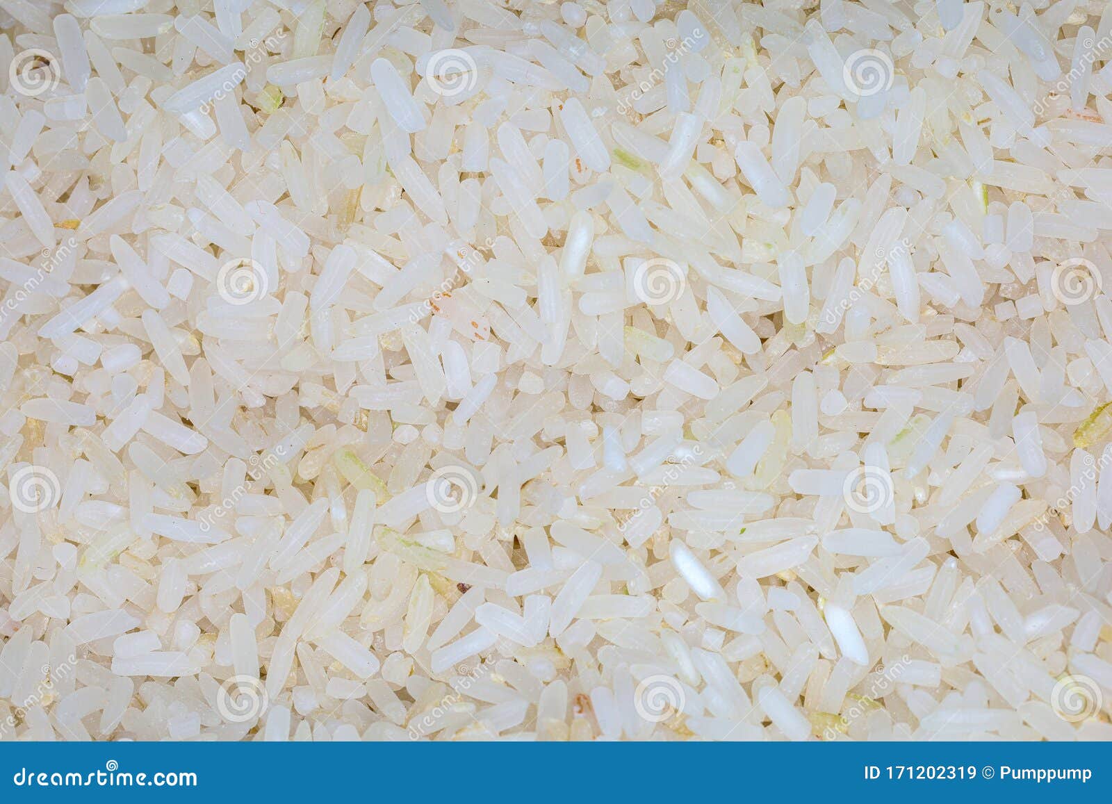Close Up Rice Grain for Nature Background Stock Image - Image of ...