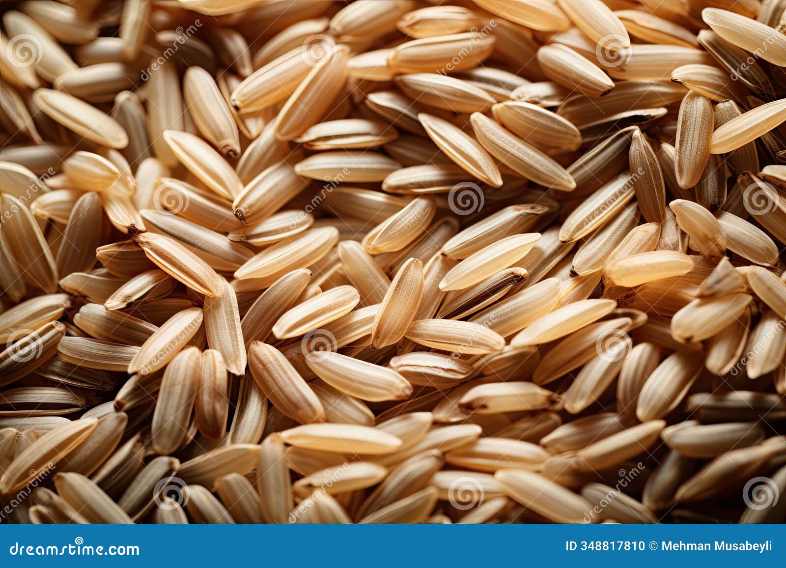Close Up of Rice and Grain on a White Background Stock Illustration ...