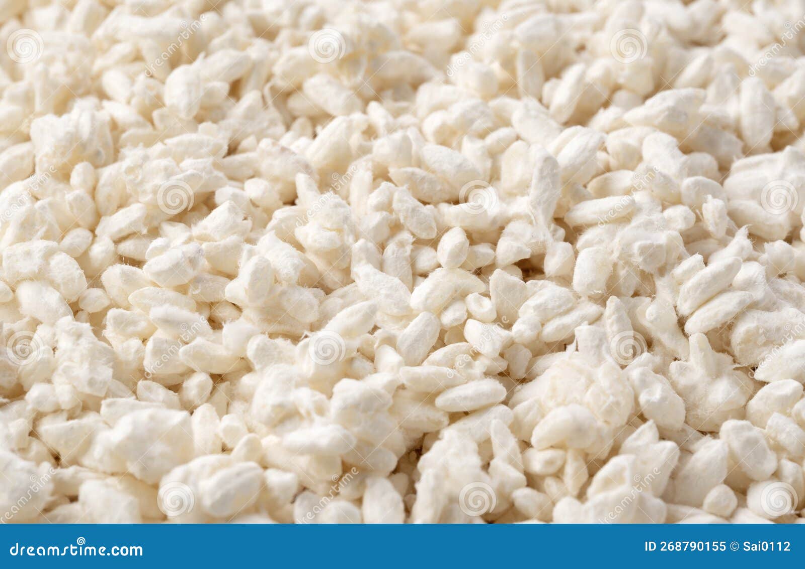 Close-up of Rice Koji Throughout the Screen Stock Image - Image of ...