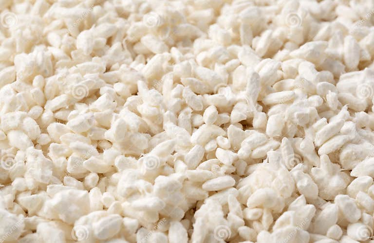 Close-up of Rice Koji Throughout the Screen Stock Image - Image of ...