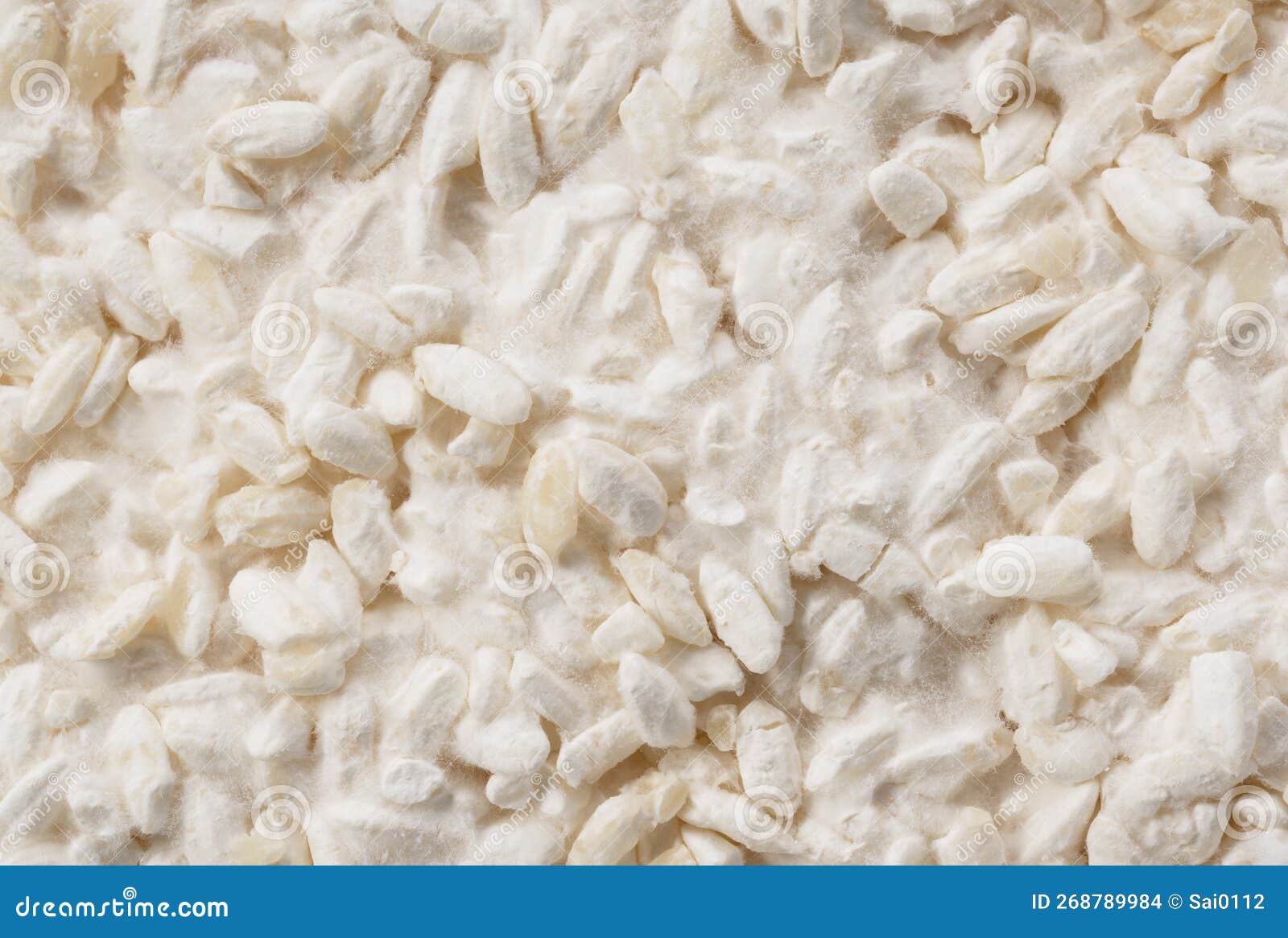 Close-up of Rice Koji Throughout the Screen Stock Photo - Image of ...