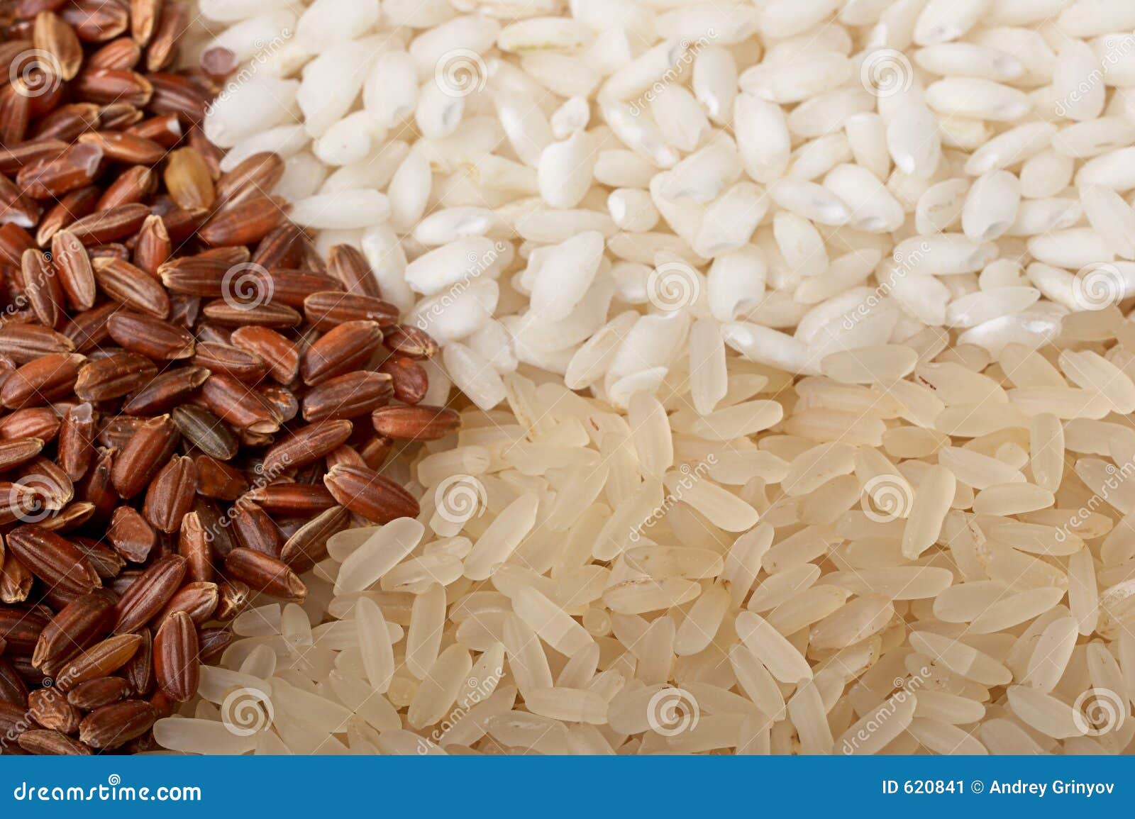 Close-up of Rice (macro, Three Colors) Stock Image - Image of cuisine ...