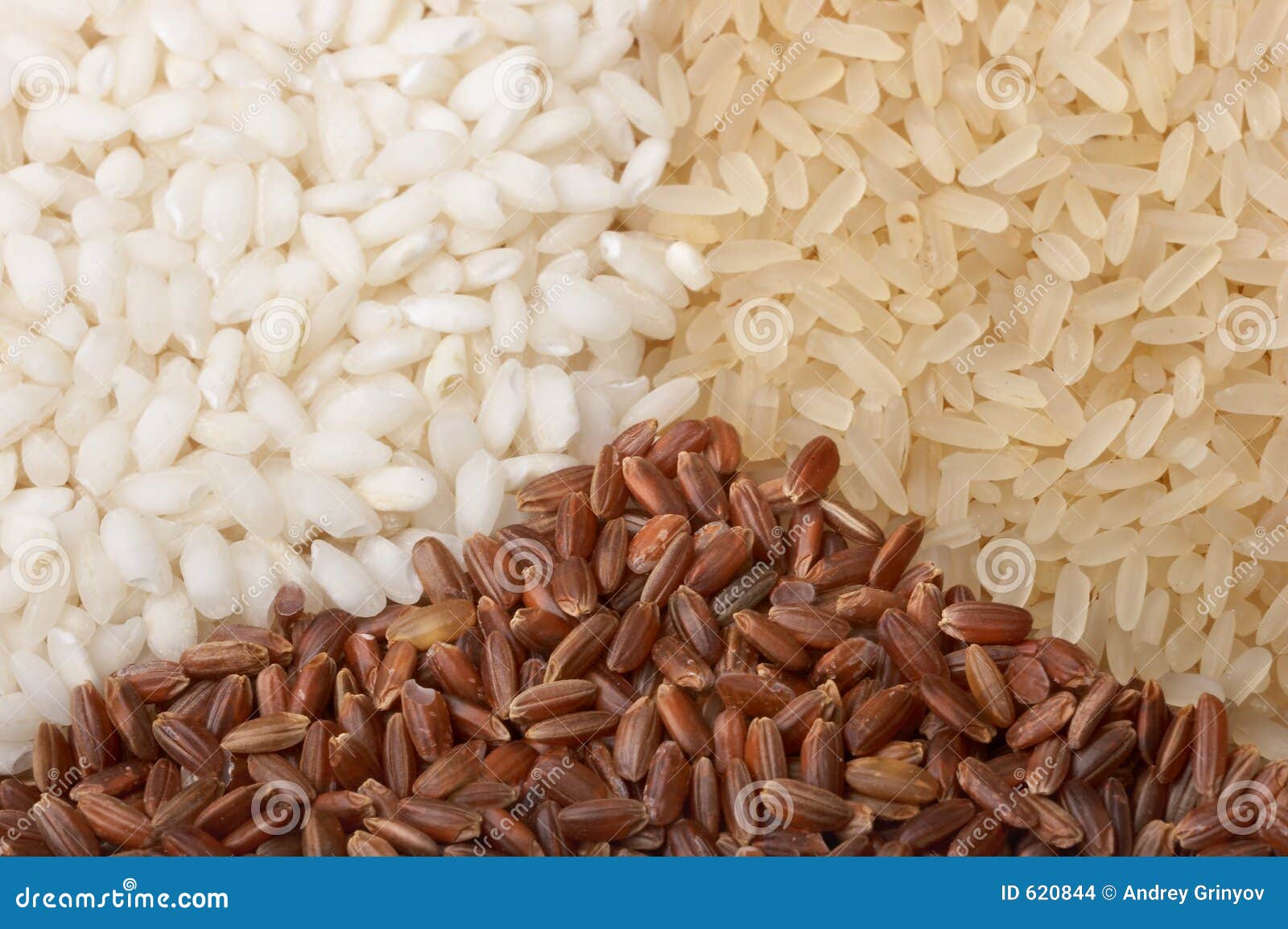 Close-up of Rice (macro, Three Colors) Stock Photo - Image of cuisine ...