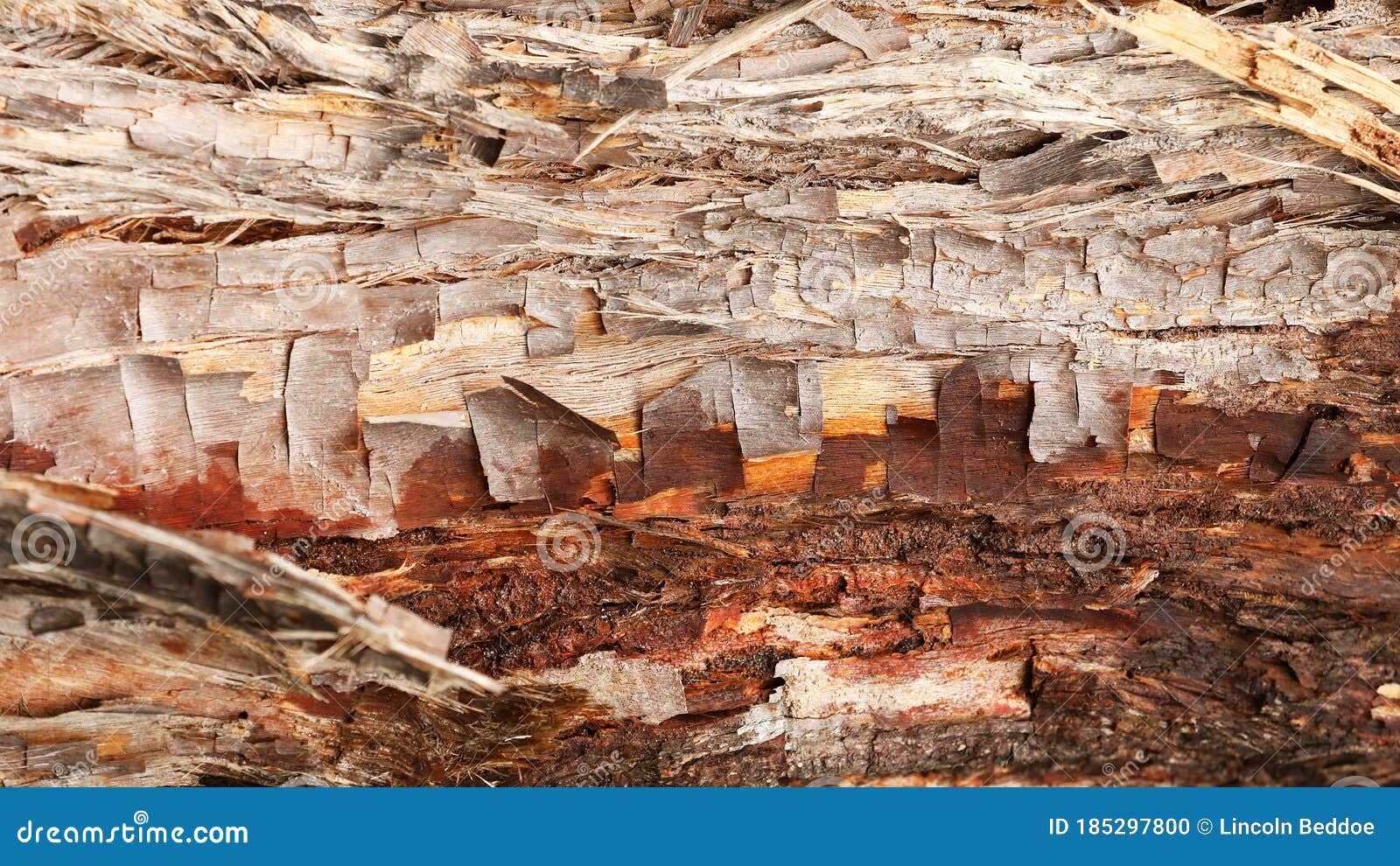 Fibrous Cubist Style Abstract Background of Bark, Rust Rusty Colours ...