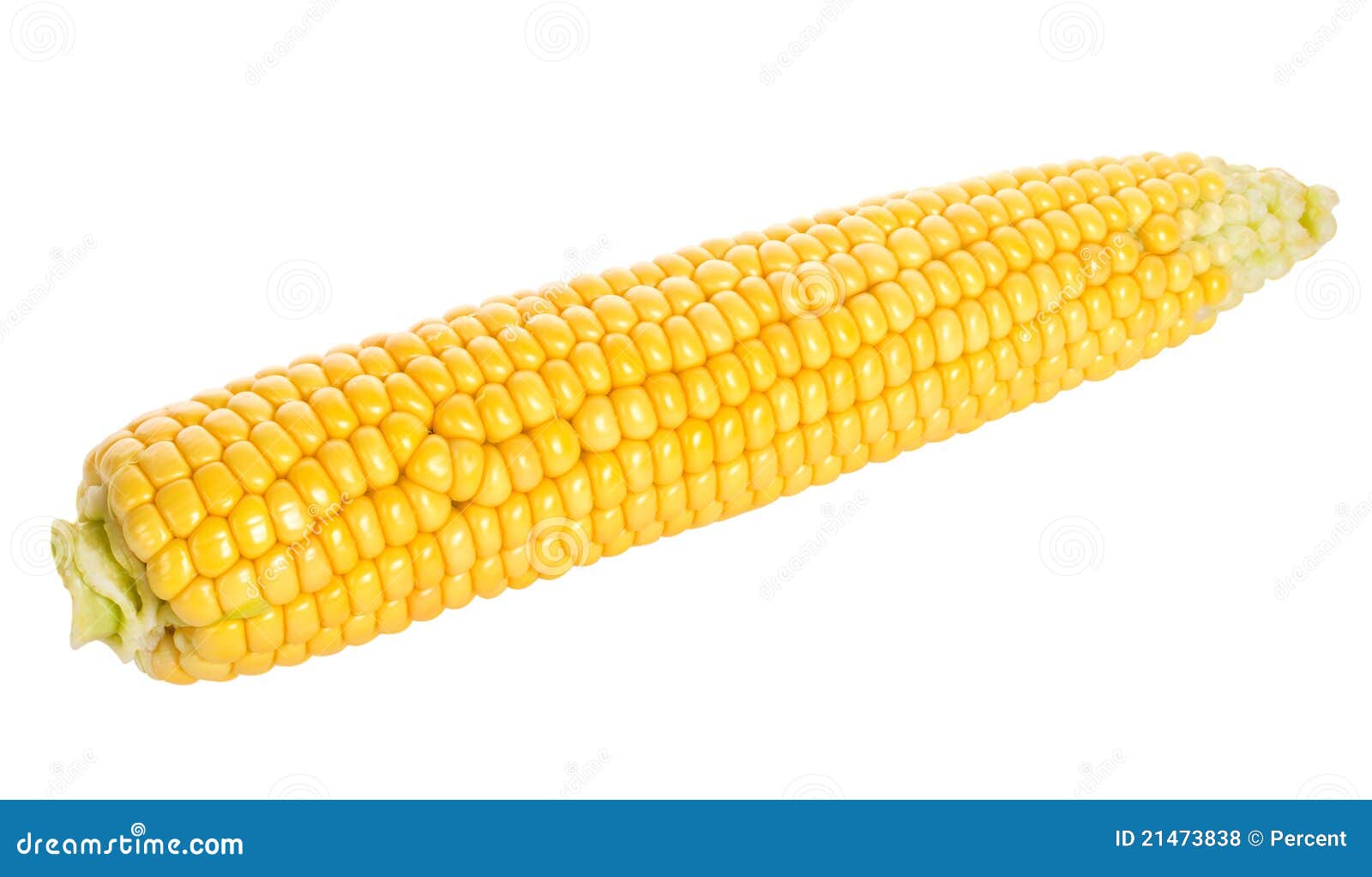 Close-up ripe corn stock photo. Image of yellow, edible - 21473838