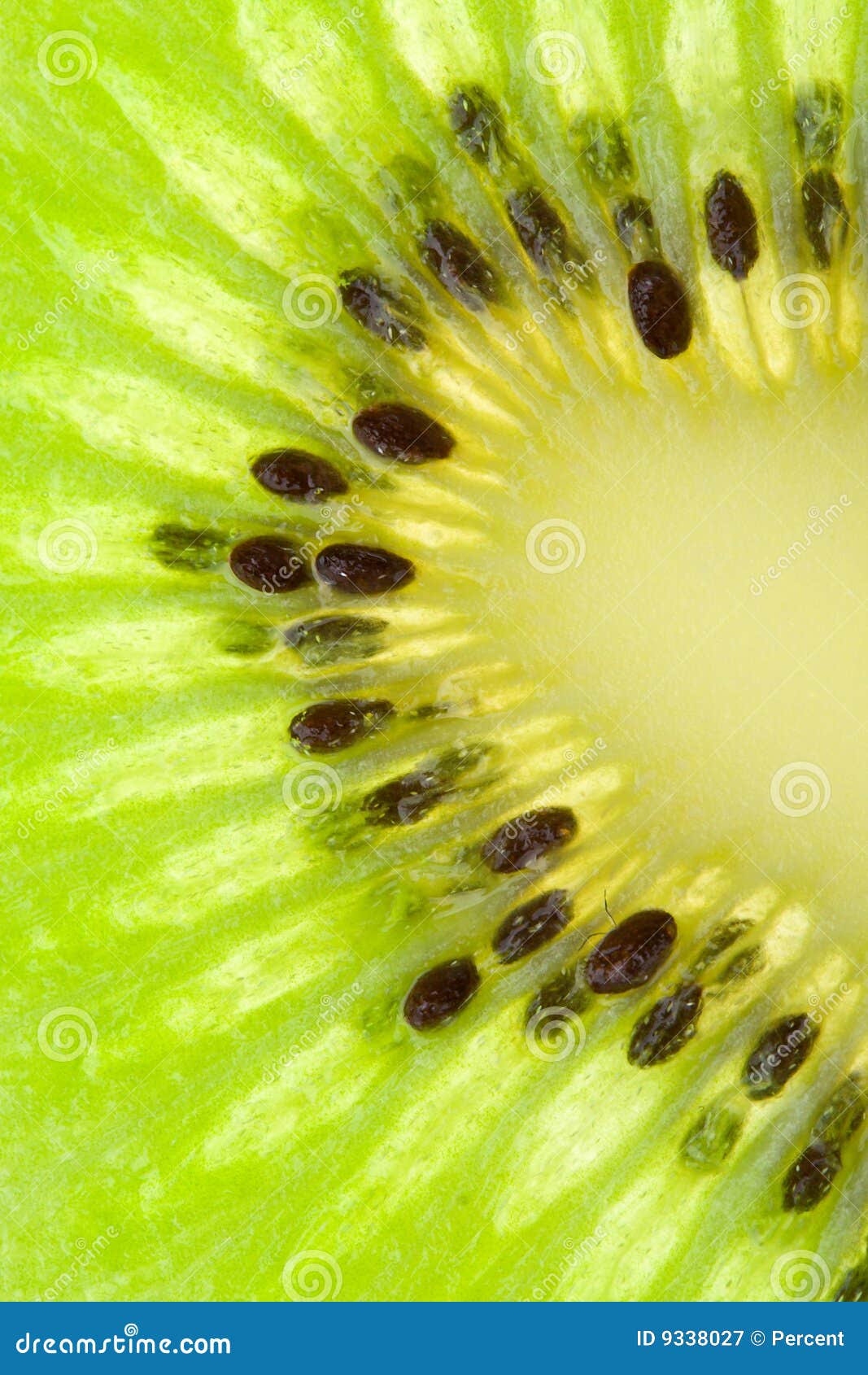 Close-up ripe kiwi texture stock image. Image of sweet - 9338027