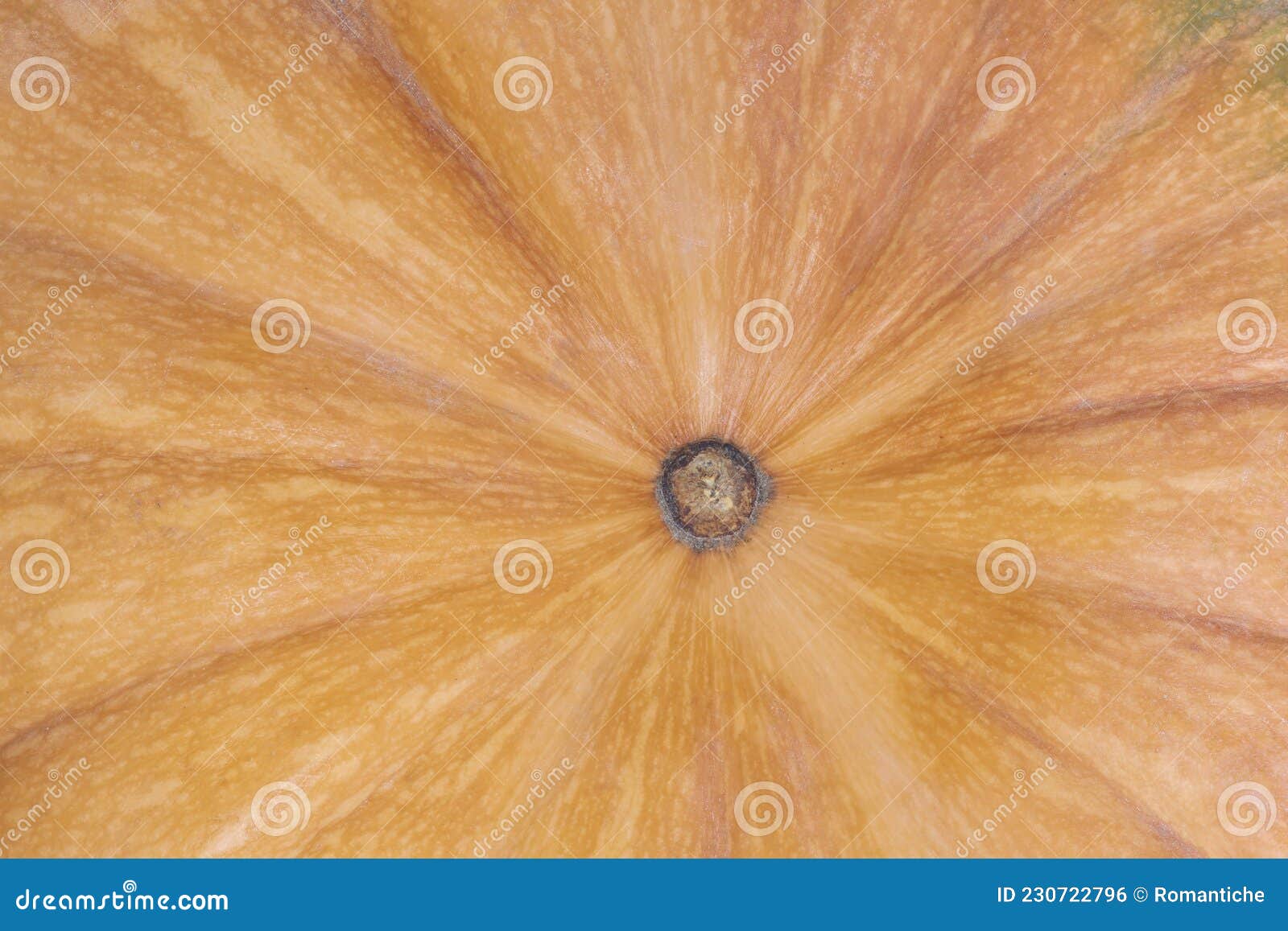 Close Up of Ripe Orange Pumpkin Texture Stock Photo - Image of autumn ...