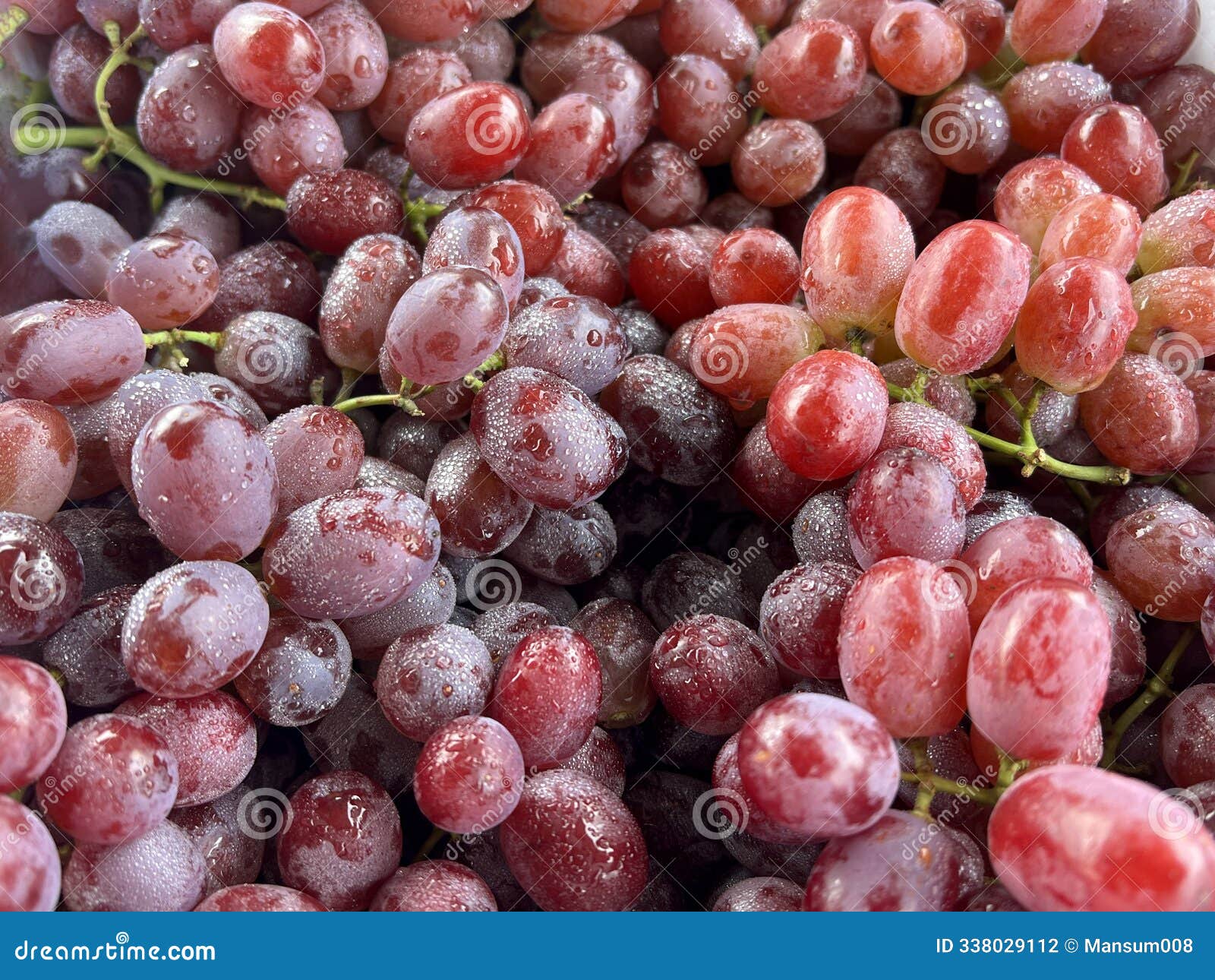 Close Up of Ripe Red Grapes on the Counter Stock Photo - Image of ...