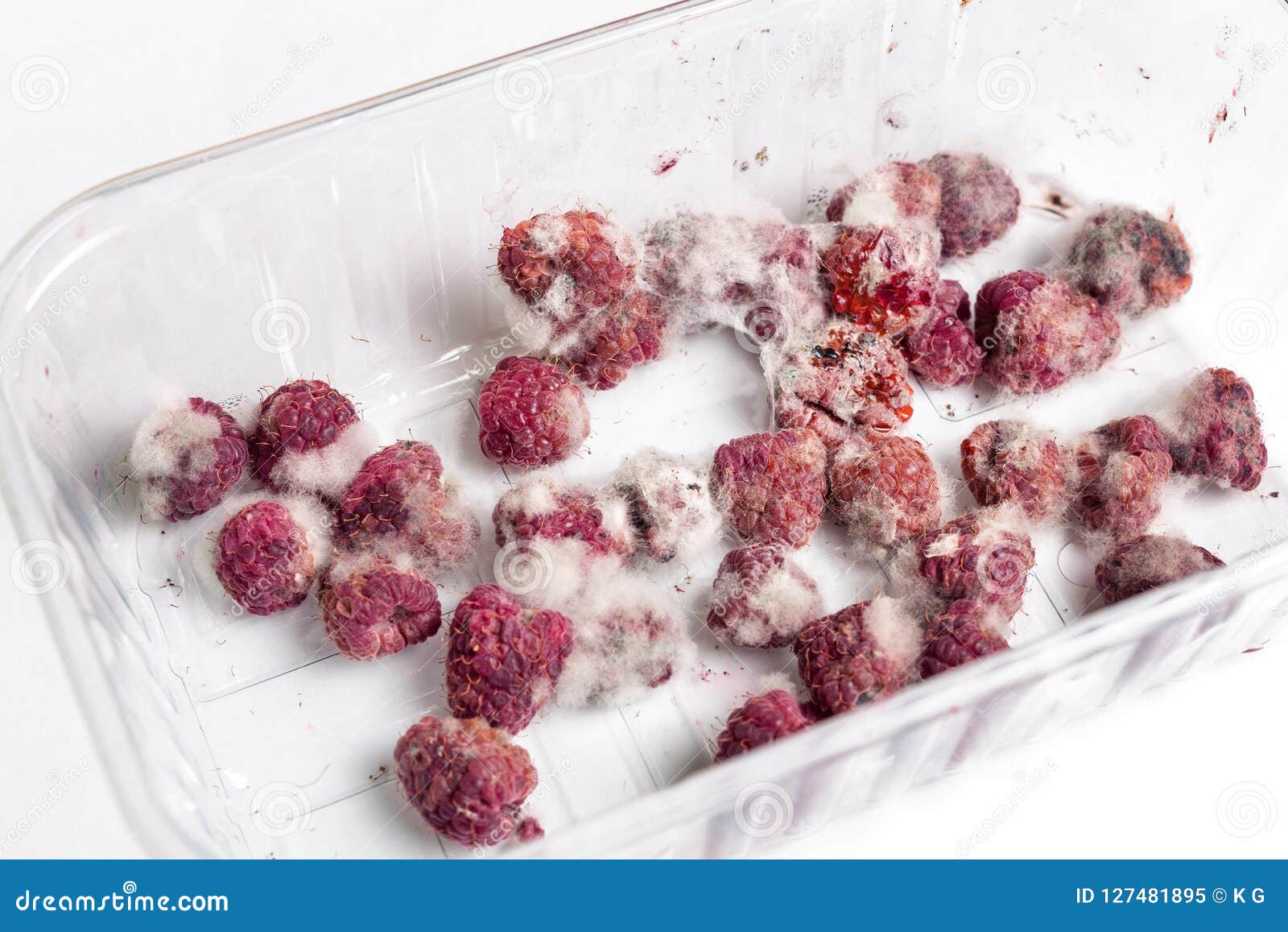 Close-up Ripe Red Rotten Raspberry with White Grey Mold on it. Spoiled ...