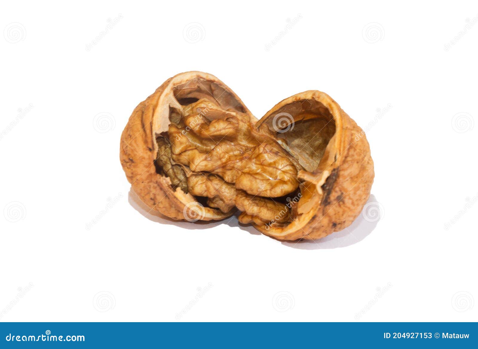 The Walnut Split In Half. Walnut On A White Background, You Can See The ...