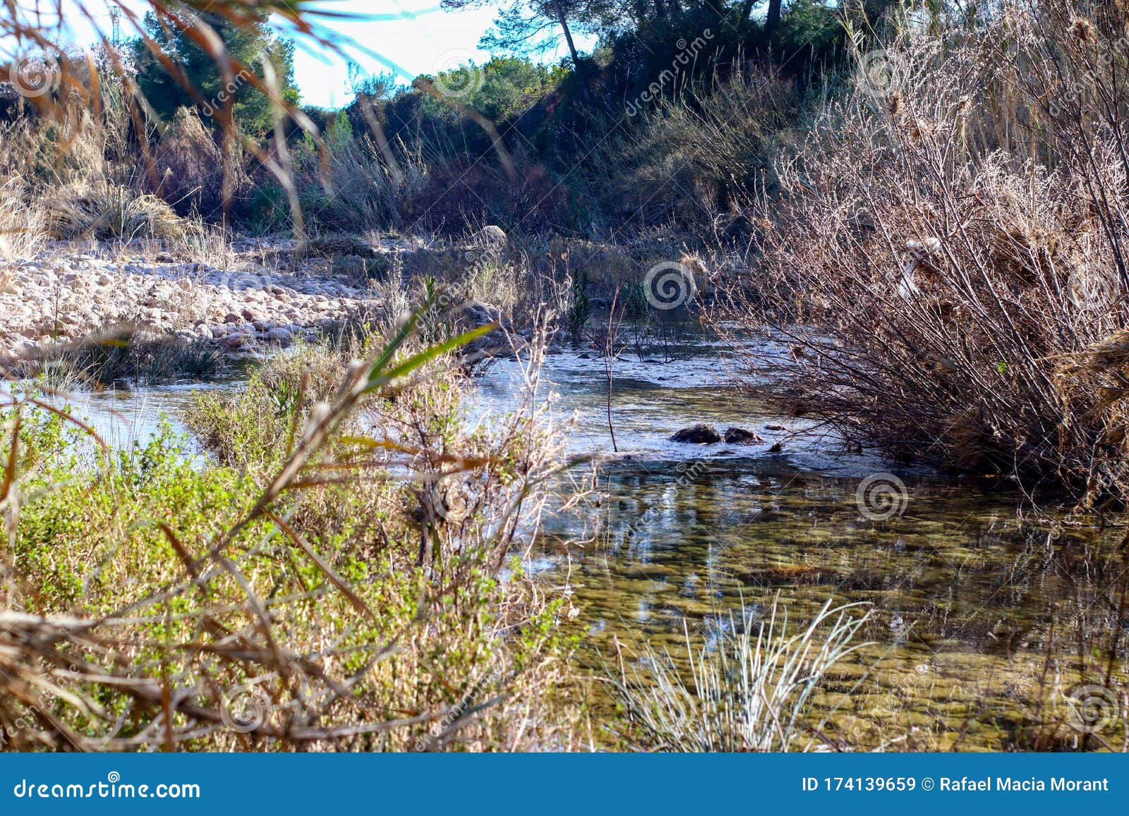 Close-up of a River with a Lot of Water Flowing Stock Image - Image of ...