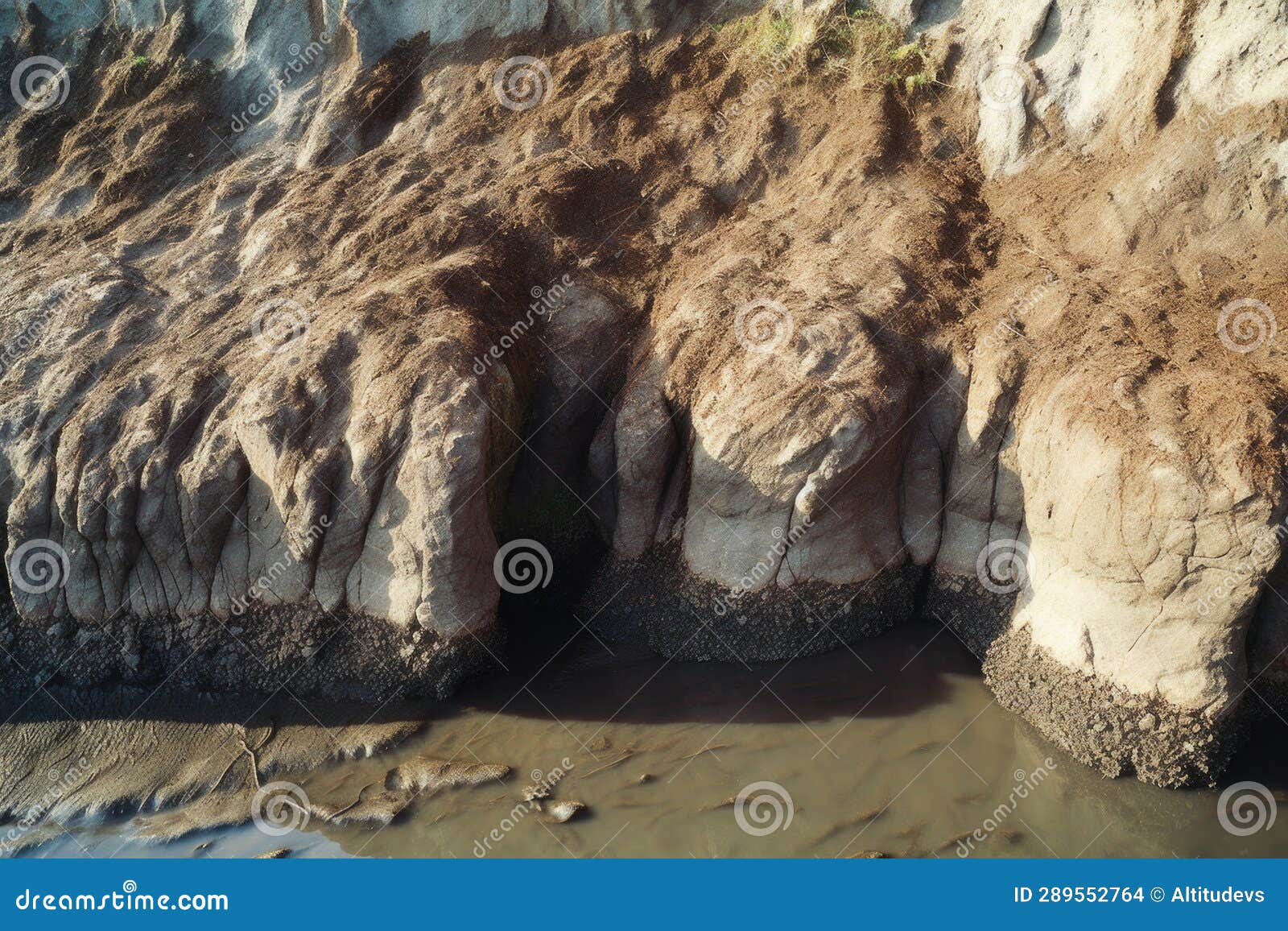 Close-up of Riverbank Erosion in a Delta Formation Stock Photo - Image ...