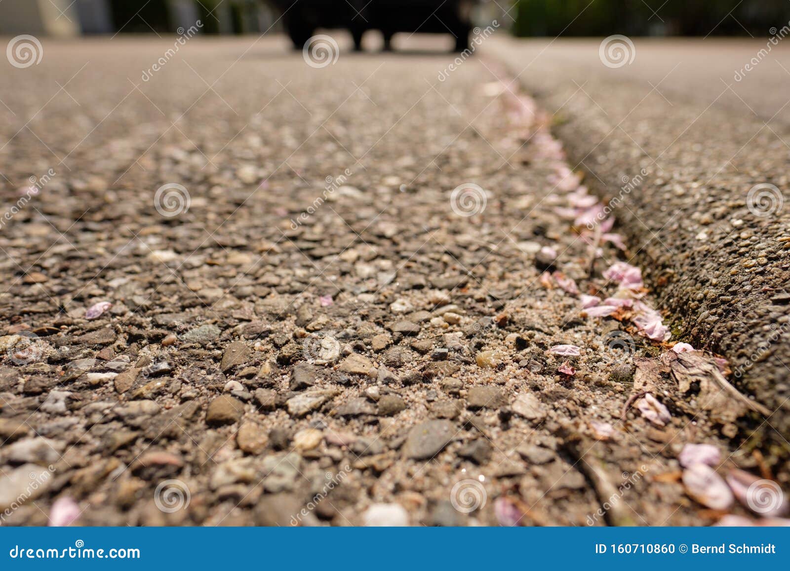 Close-up Road with Low Angle Shot Stock Photo - Image of road ...